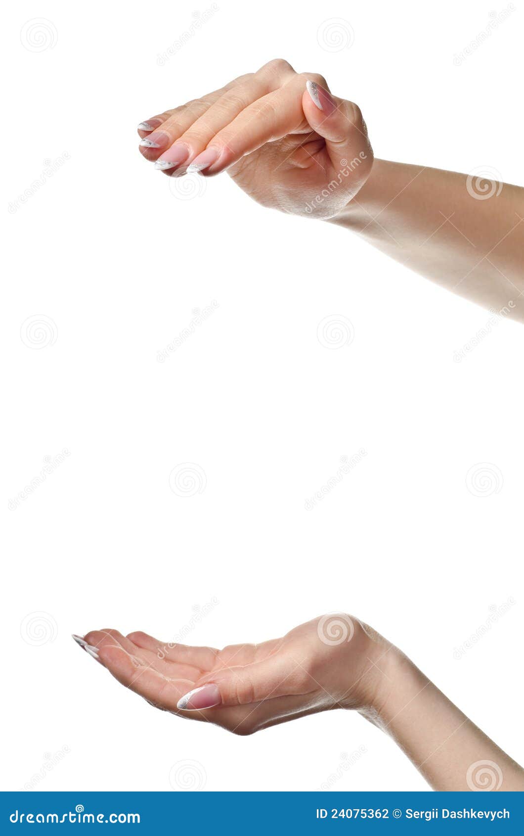 Female isolated hands stock photo. Image of beauty, human - 24075362