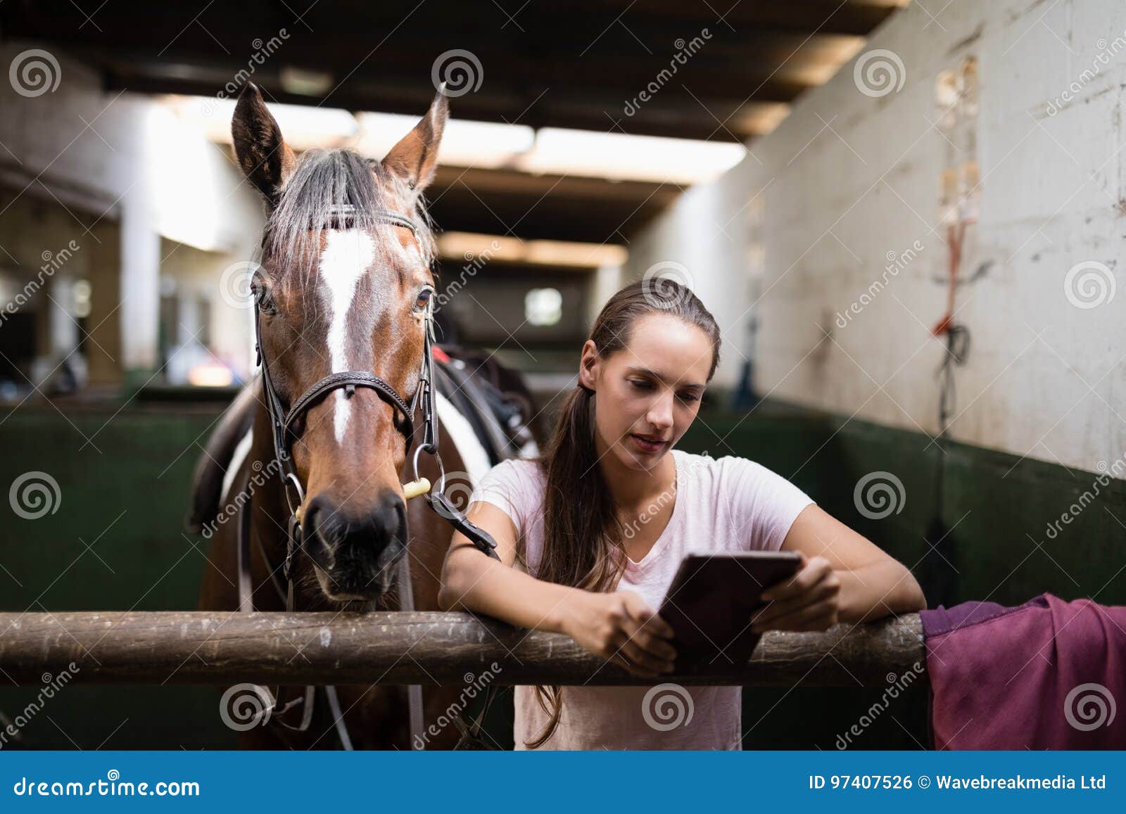 Female Jockey Using Tablet Computer while Standing Against Horse Stock ...