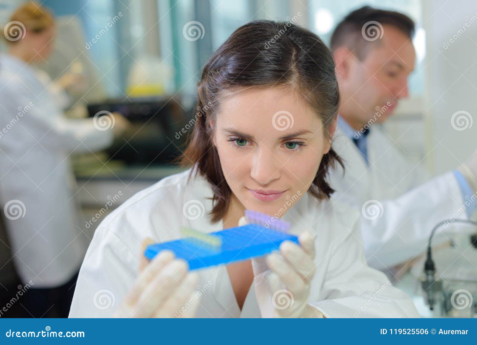 Female Lab Technician Looking at Samples Stock Photo - Image of science ...