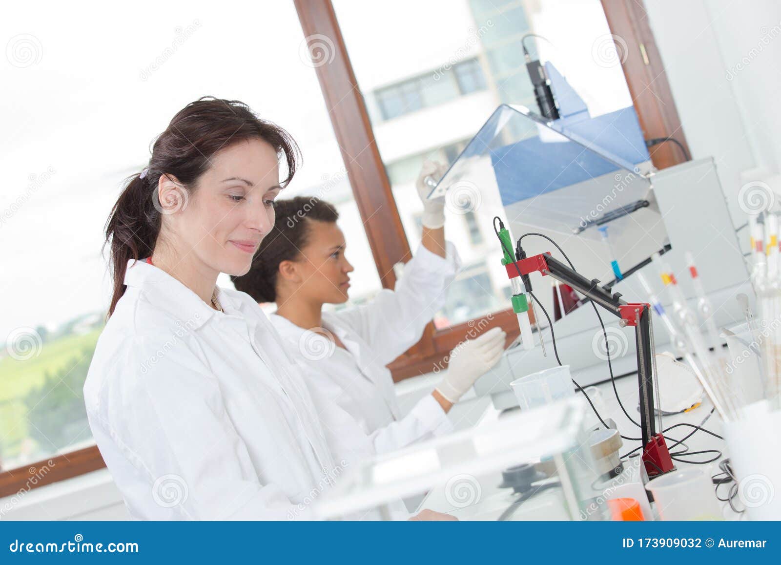 Female Lab Technicians Work on Samples Stock Photo - Image of chemistry ...