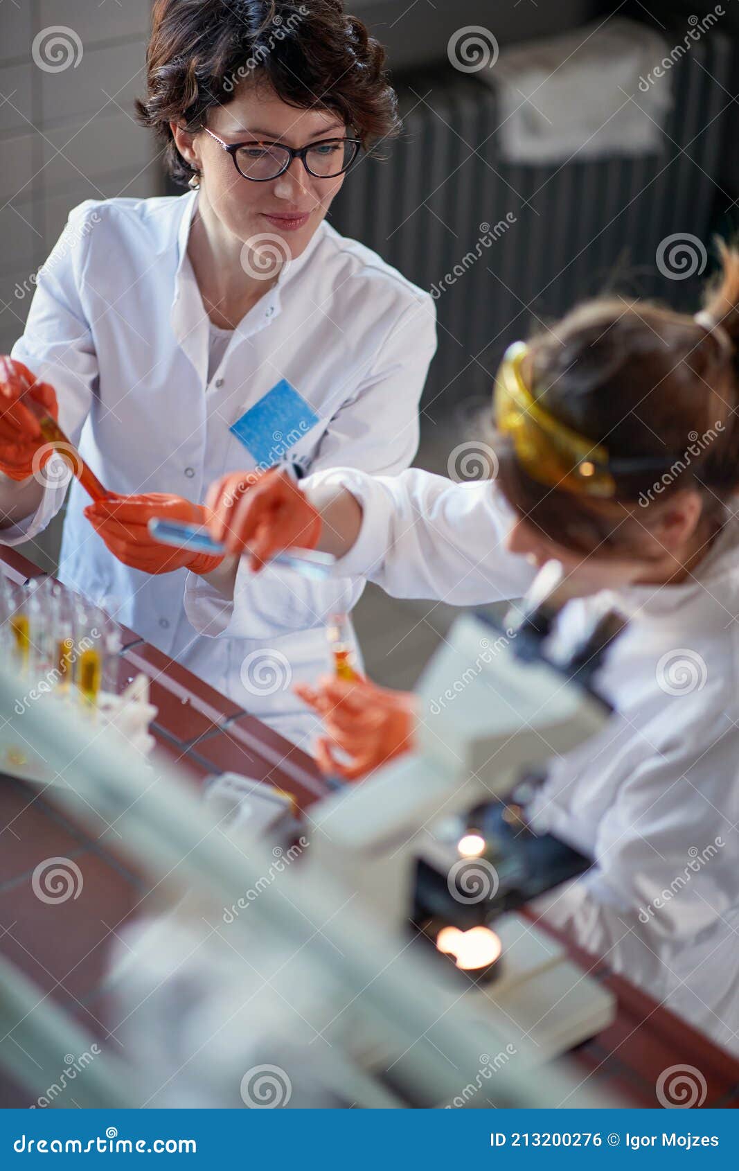 Female Laborants Examining Samples Together Stock Photo - Image of ...