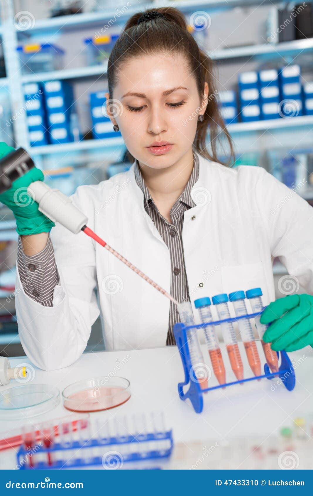 Female Laboratory Assistant with a Pipette in a Scientific Labor Stock ...