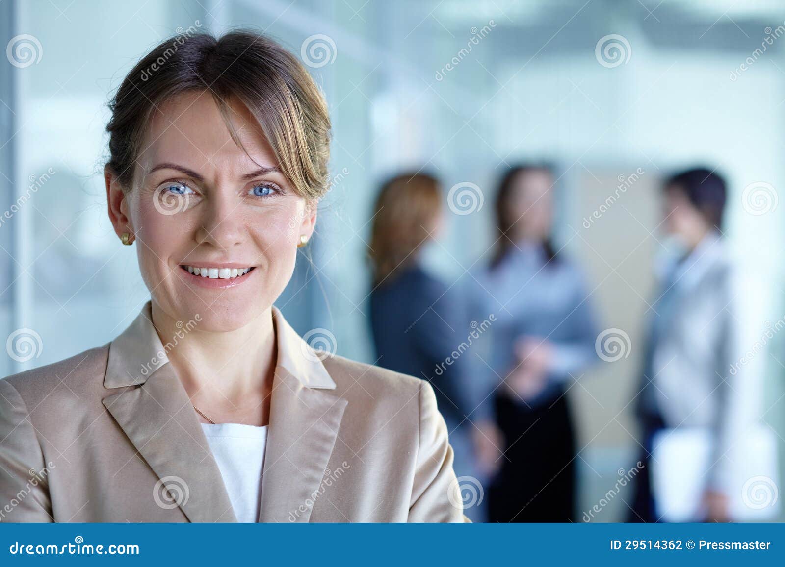 Female leader stock photo. Image of caucasian, businesswoman - 29514362