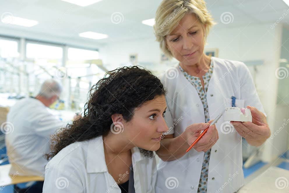 Female learning in lab stock photo. Image of endodontics - 259236524