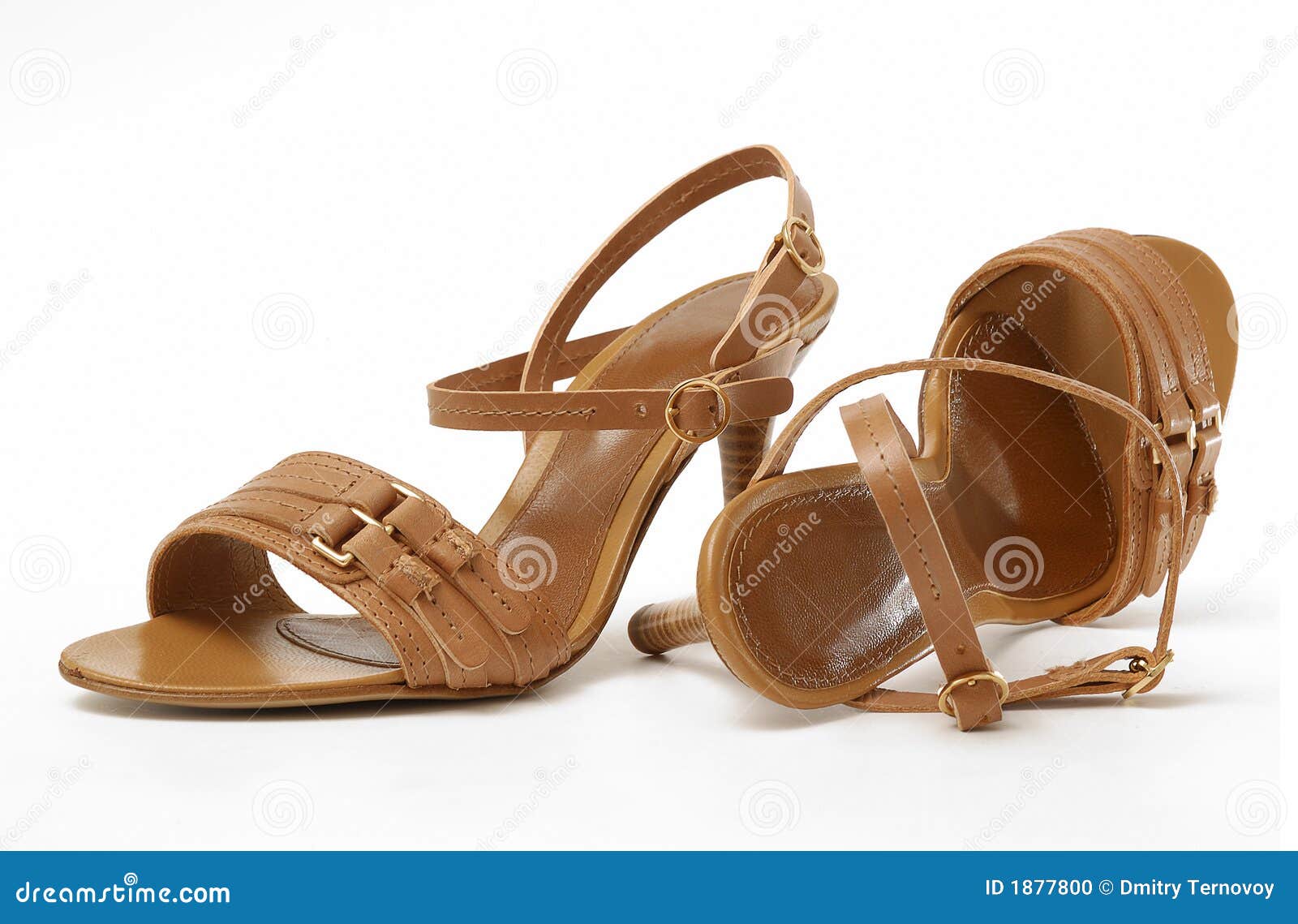 Female Leather shoes stock photo. Image of people, regal - 1877800