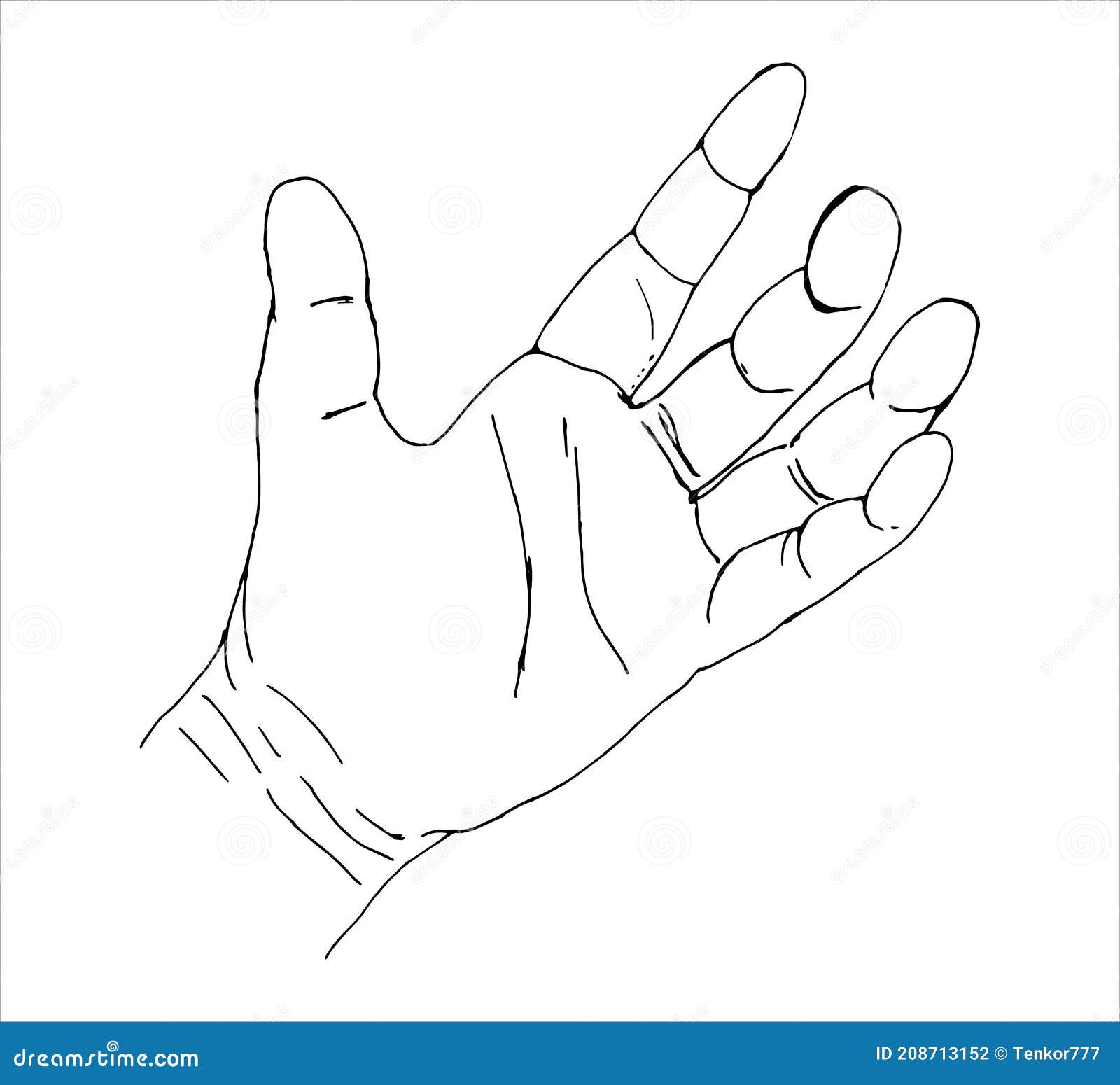 Female Left Hand. Outline. Vector Sketch Illustration. | CartoonDealer ...