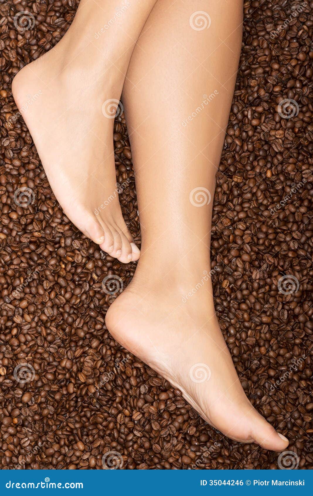 Female Legs on Coffee Seeds. Stock Photo - Image of foot, cafe: 35044246