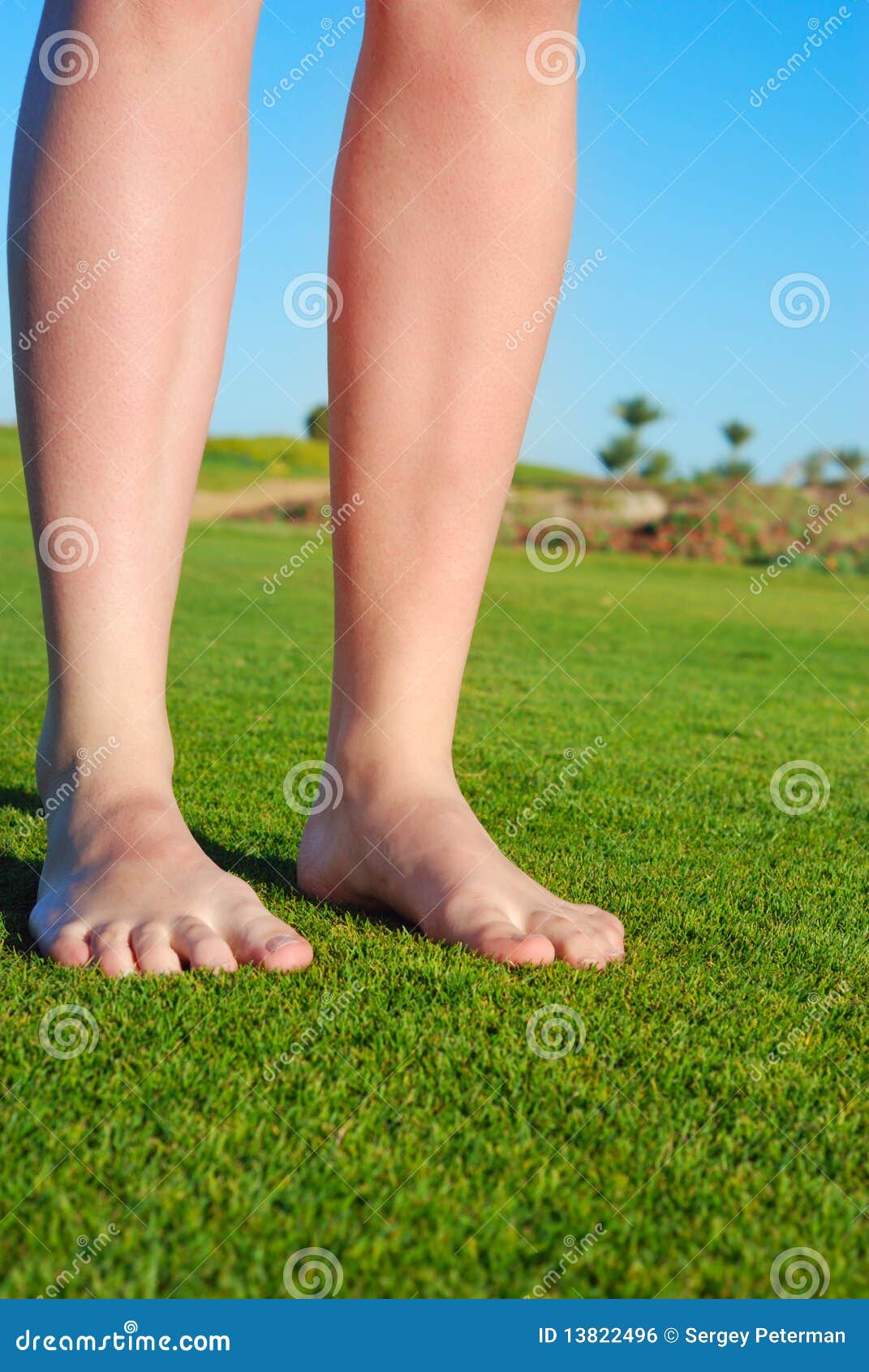 Female legs on grass stock photo. Image of grass, barefoot - 13822496