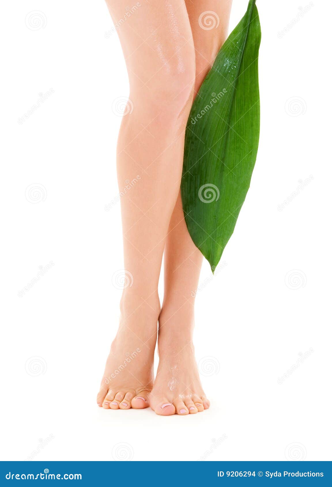 Female Legs With Green Leaf Stock Photography | CartoonDealer.com #9206294