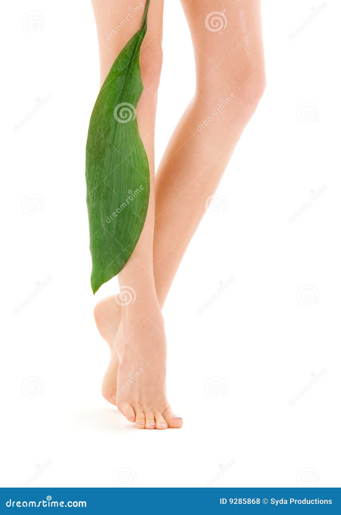 Female Legs with Green Leaf Stock Photo - Image of feet, chiropody: 9285868