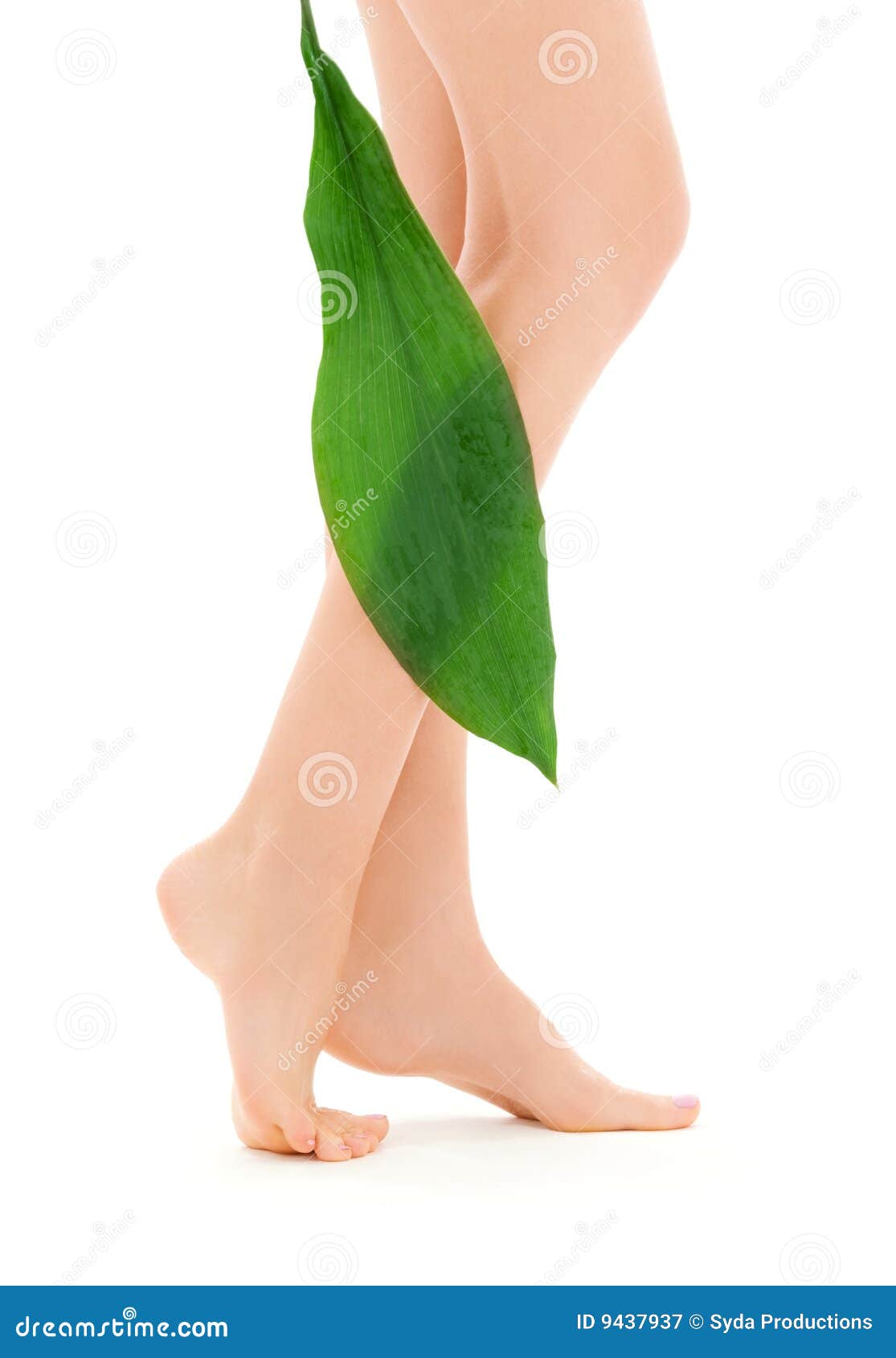 Female Legs with Green Leaf Stock Image - Image of hygiene, beautiful ...