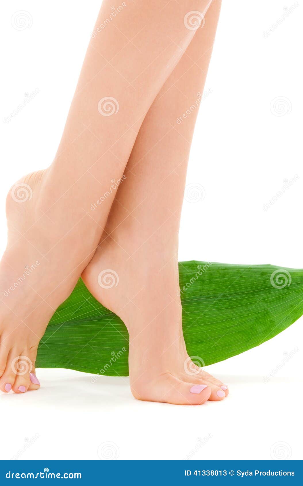Female Legs with Green Leaf Stock Image - Image of beauty, body: 41338013