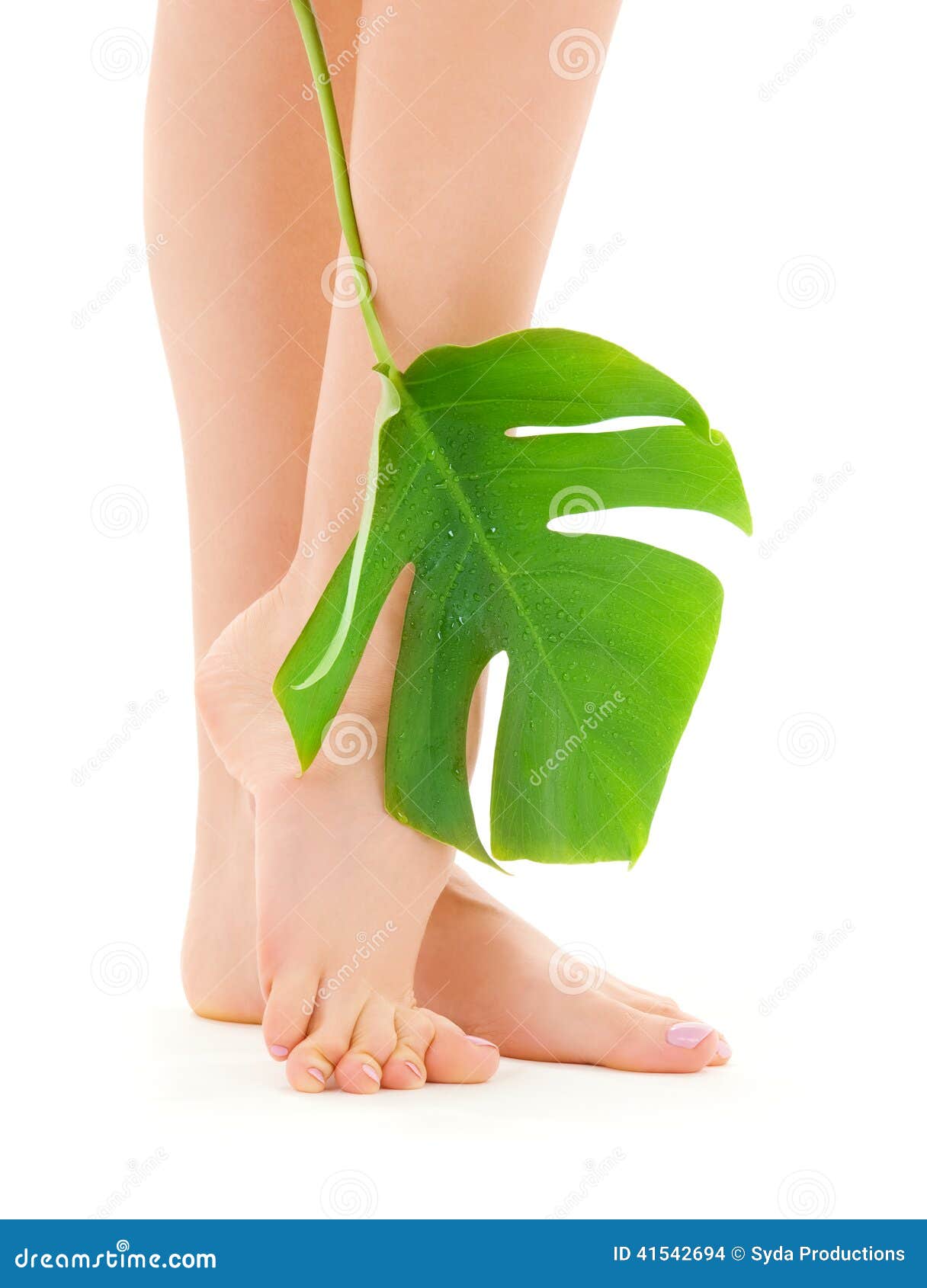 Female Legs with Green Leaf Stock Photo - Image of care, bodycare: 41542694
