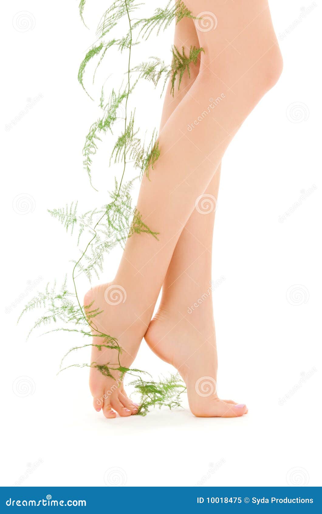 Female Legs with Green Plant Stock Image - Image of chiropody, body ...