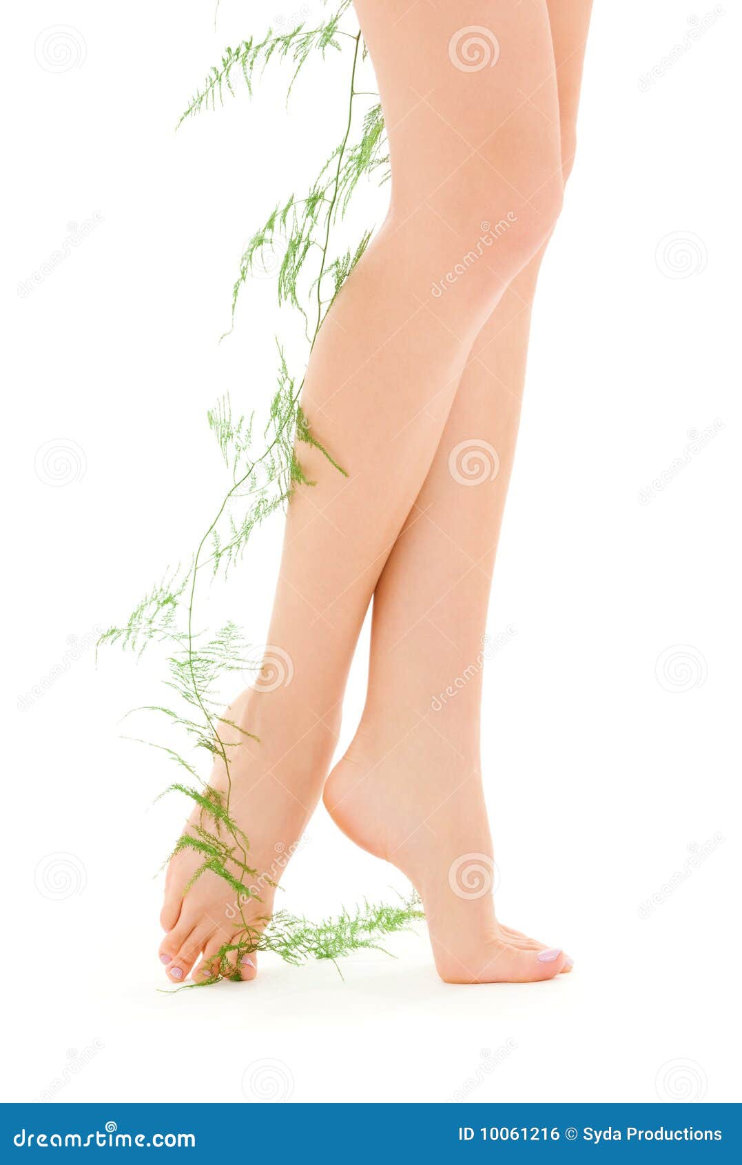Female Legs with Green Plant Stock Photo - Image of care, healthy: 10061216