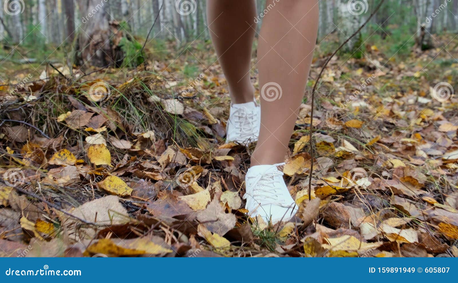 Female Legs Walk through the Autumn Forest Stock Image - Image of ...
