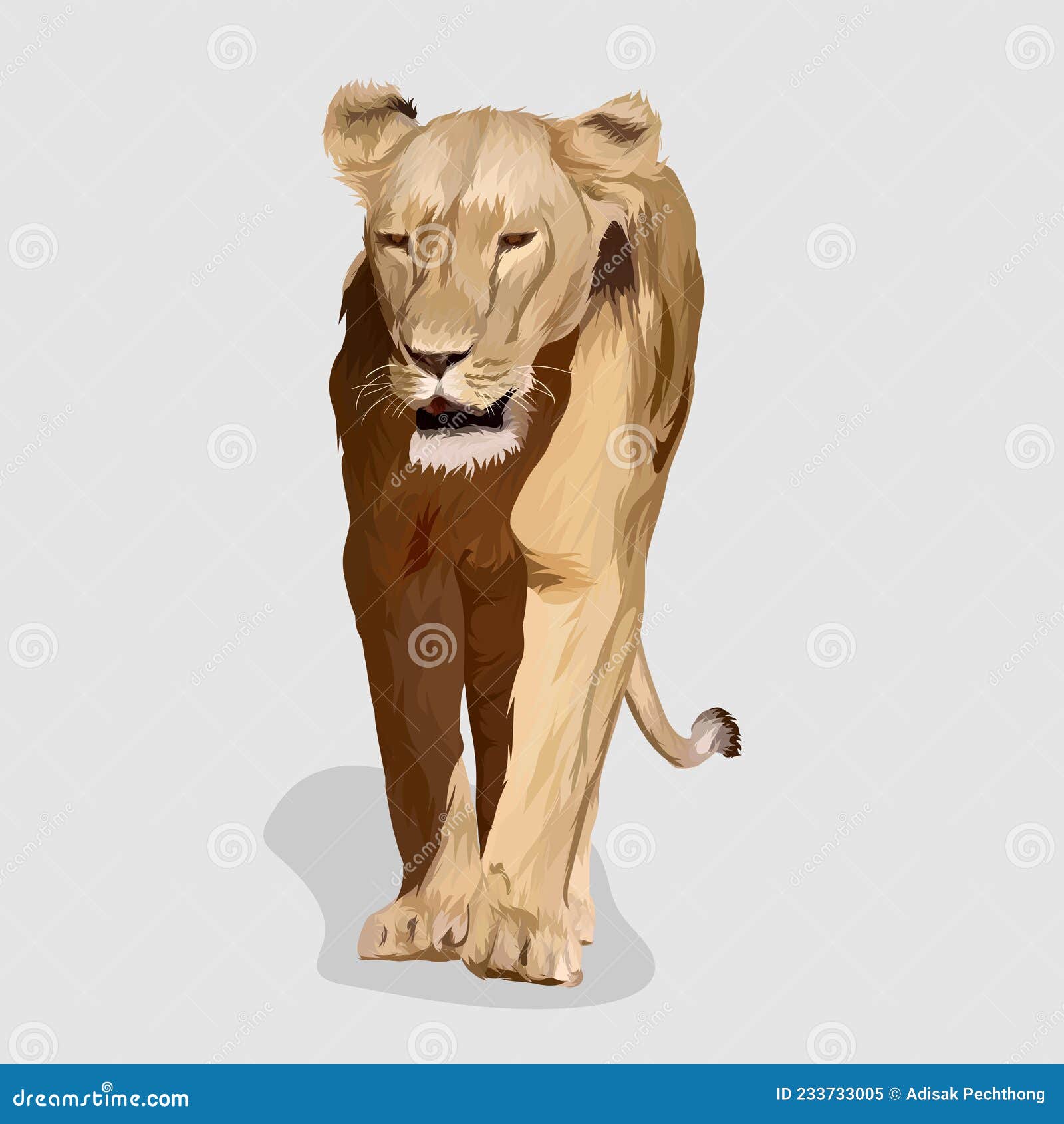 Female Lion Isolated Realistic Hand Drawn Vector Stock Vector ...