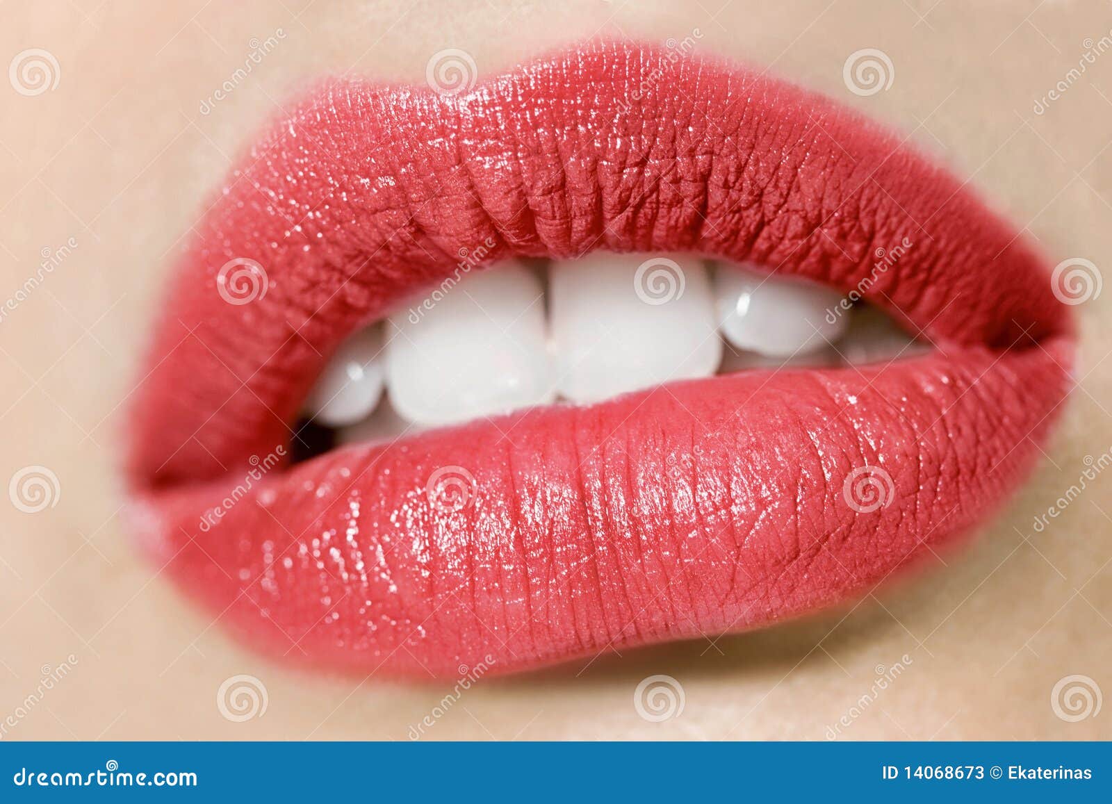Female lips stock image. Image of feminine, health, adult - 14068673