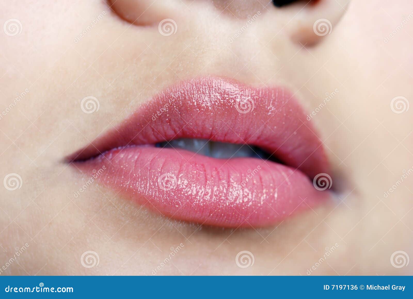 Female lips close up stock photo. Image of fashion, femininity - 7197136