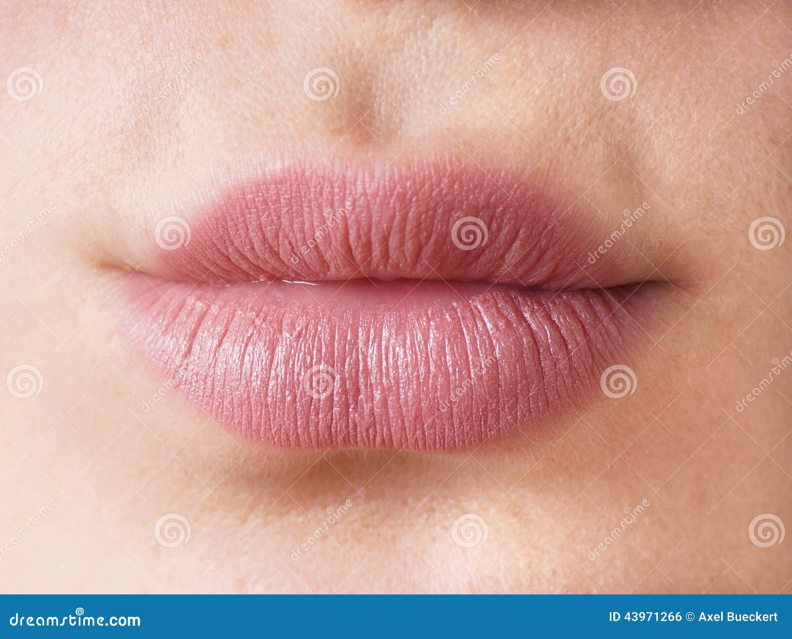 Female lips stock photo. Image of female, girl, alluring - 43971266