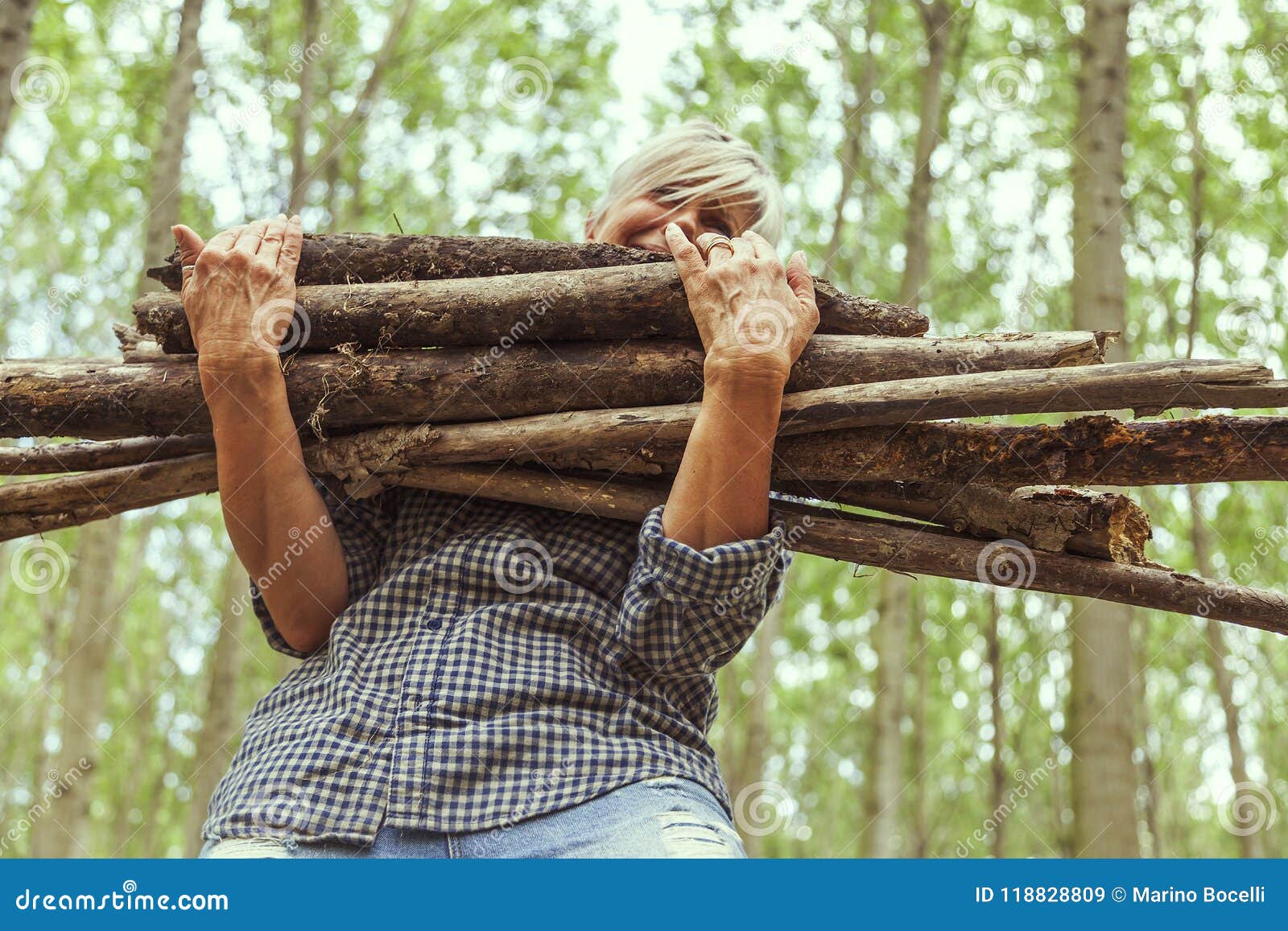 Female Lumberjack Carrying a Stack of Trunks Stock Image - Image of ...
