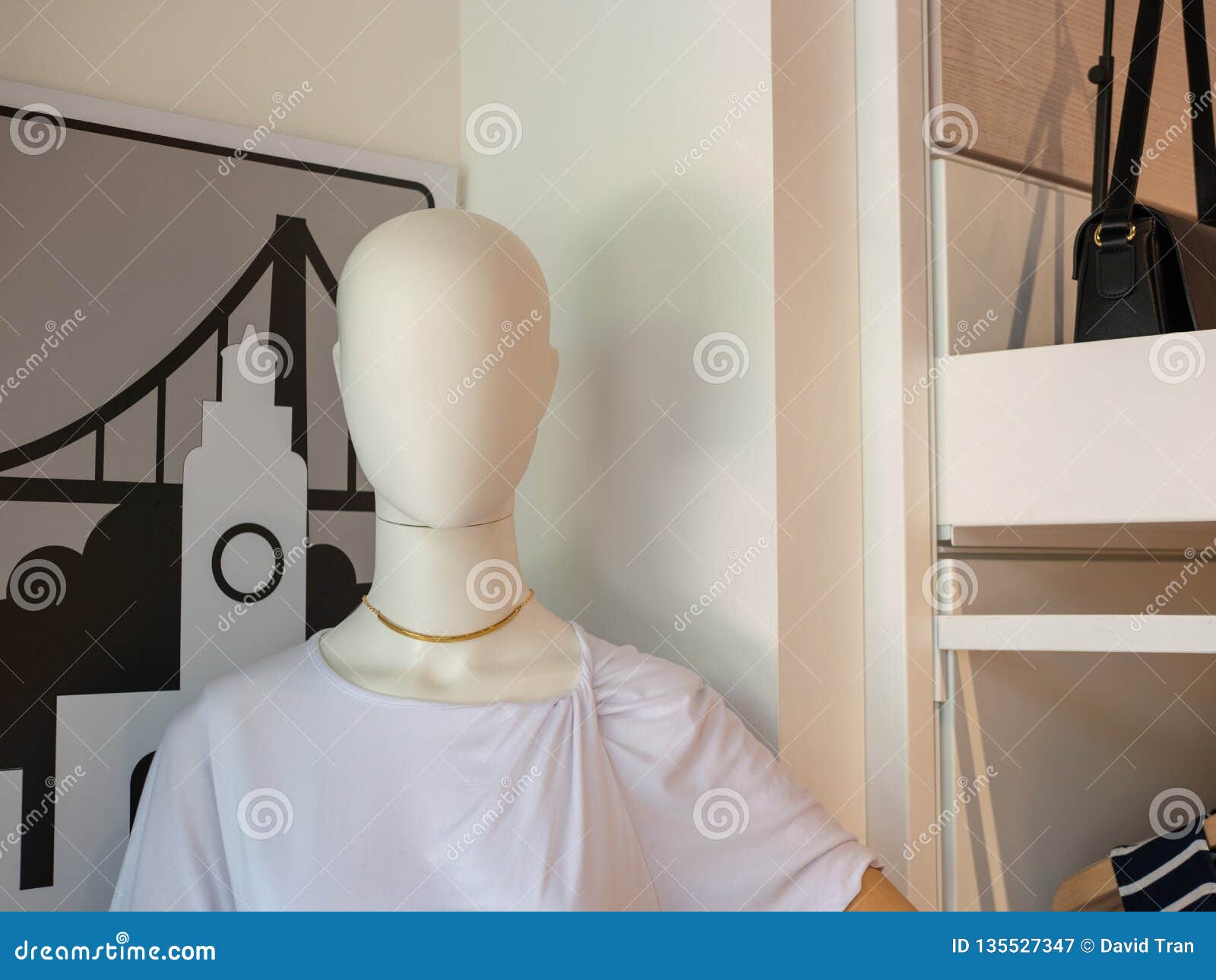 Female Mannequin Standing in Storefront with Blouse and Inventory Stock ...