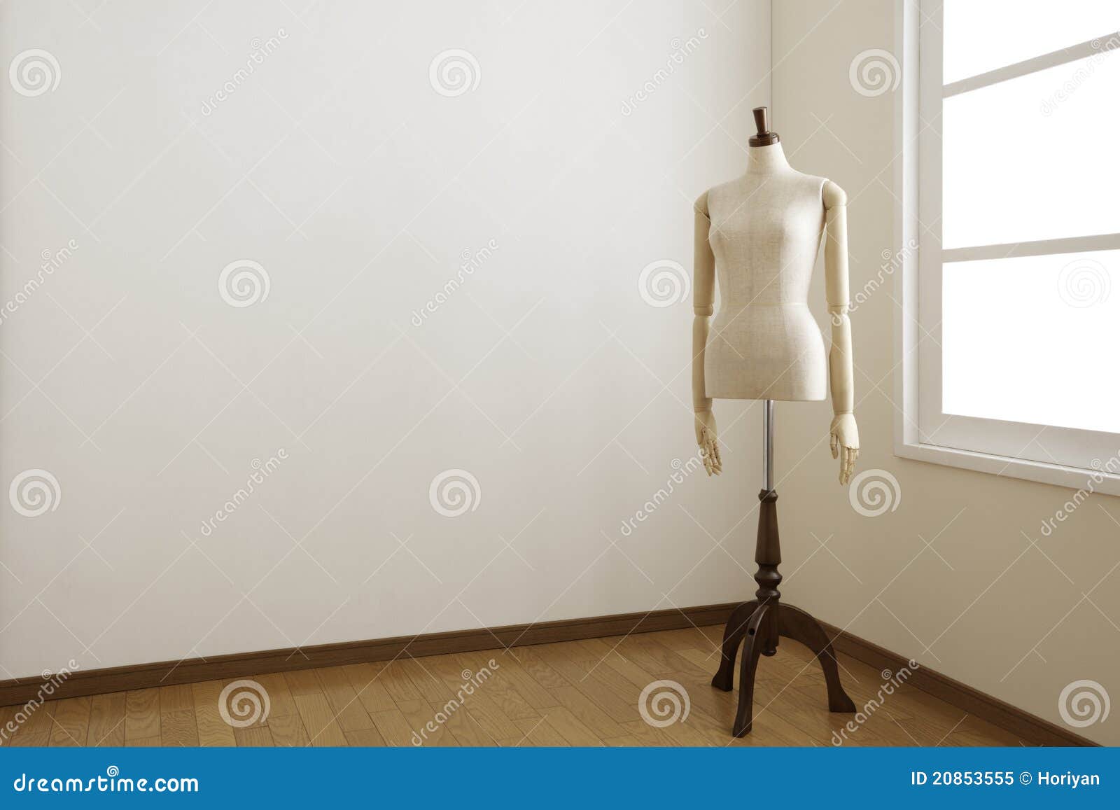 Female Mannequin Display Stock Photography | CartoonDealer.com #89344934