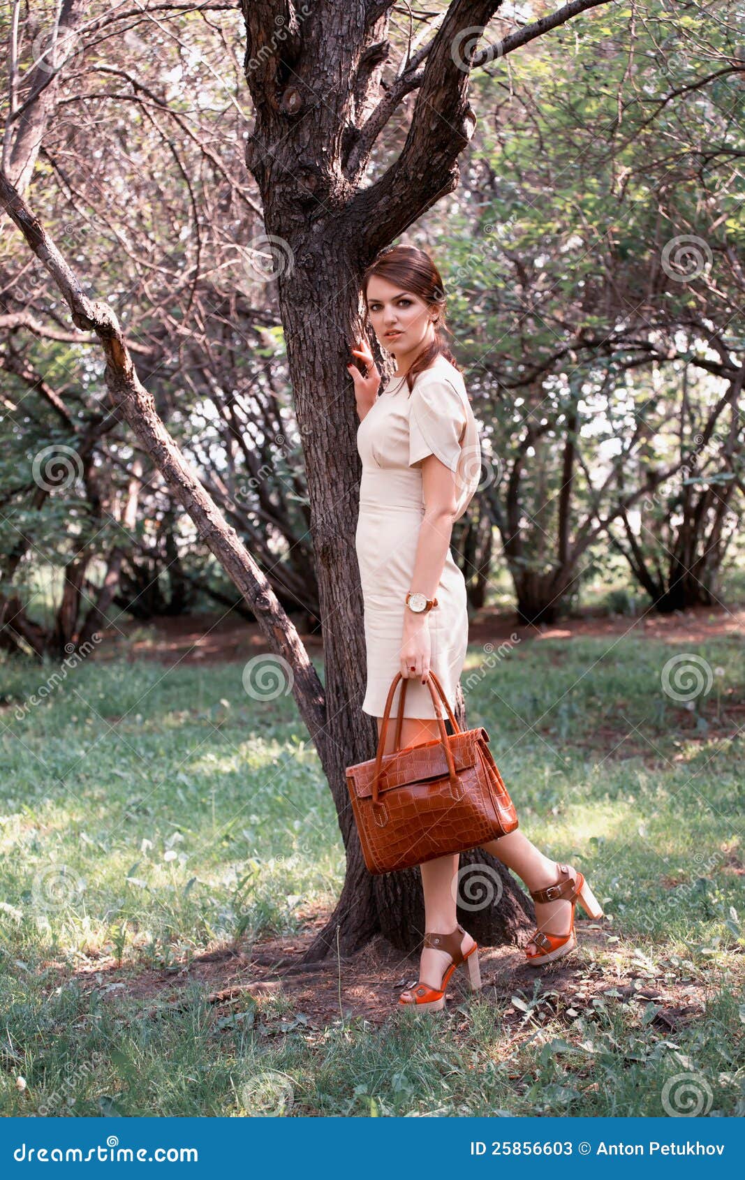 Female model and tree stock image. Image of heels, sunny - 25856603