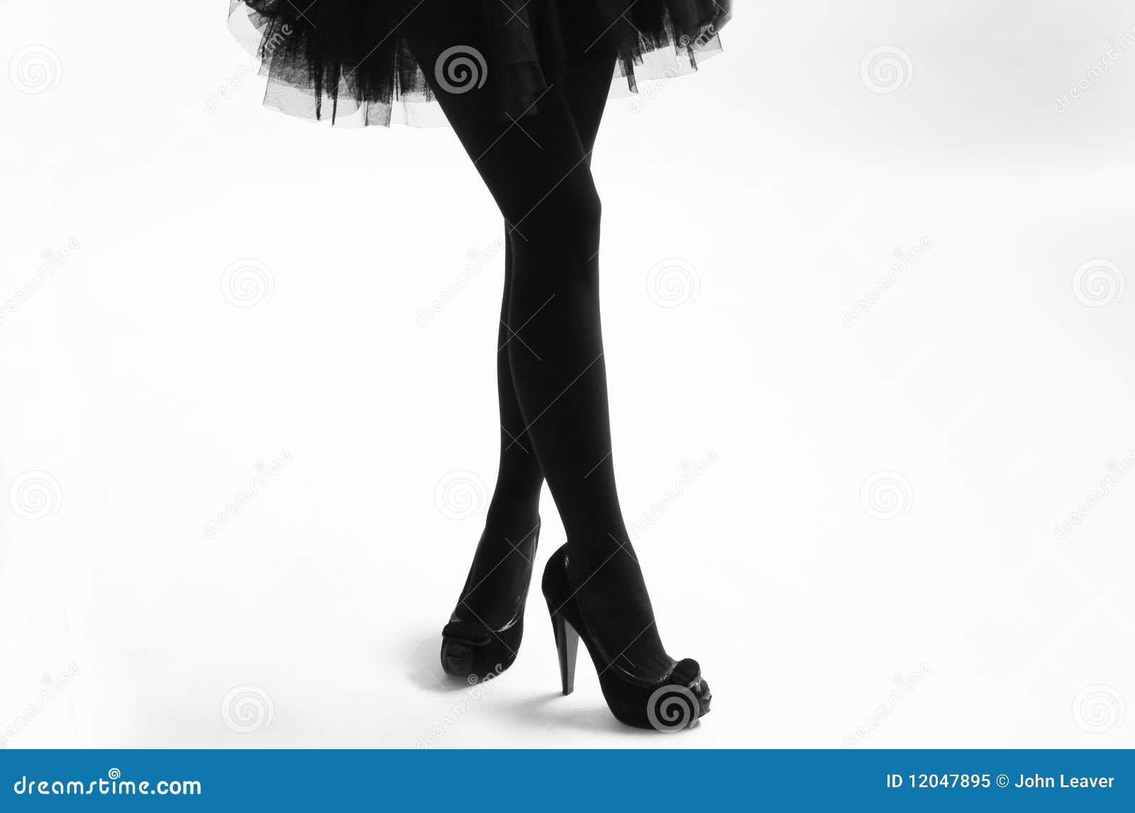 Female models legs stock image. Image of woman, silhouette - 12047895