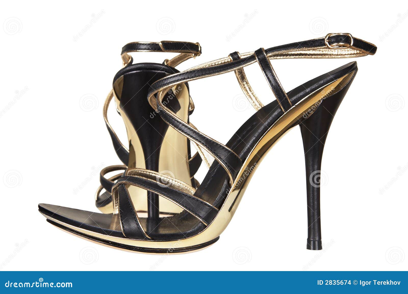 Female modern shoes stock photo. Image of footwear, foot - 2835674