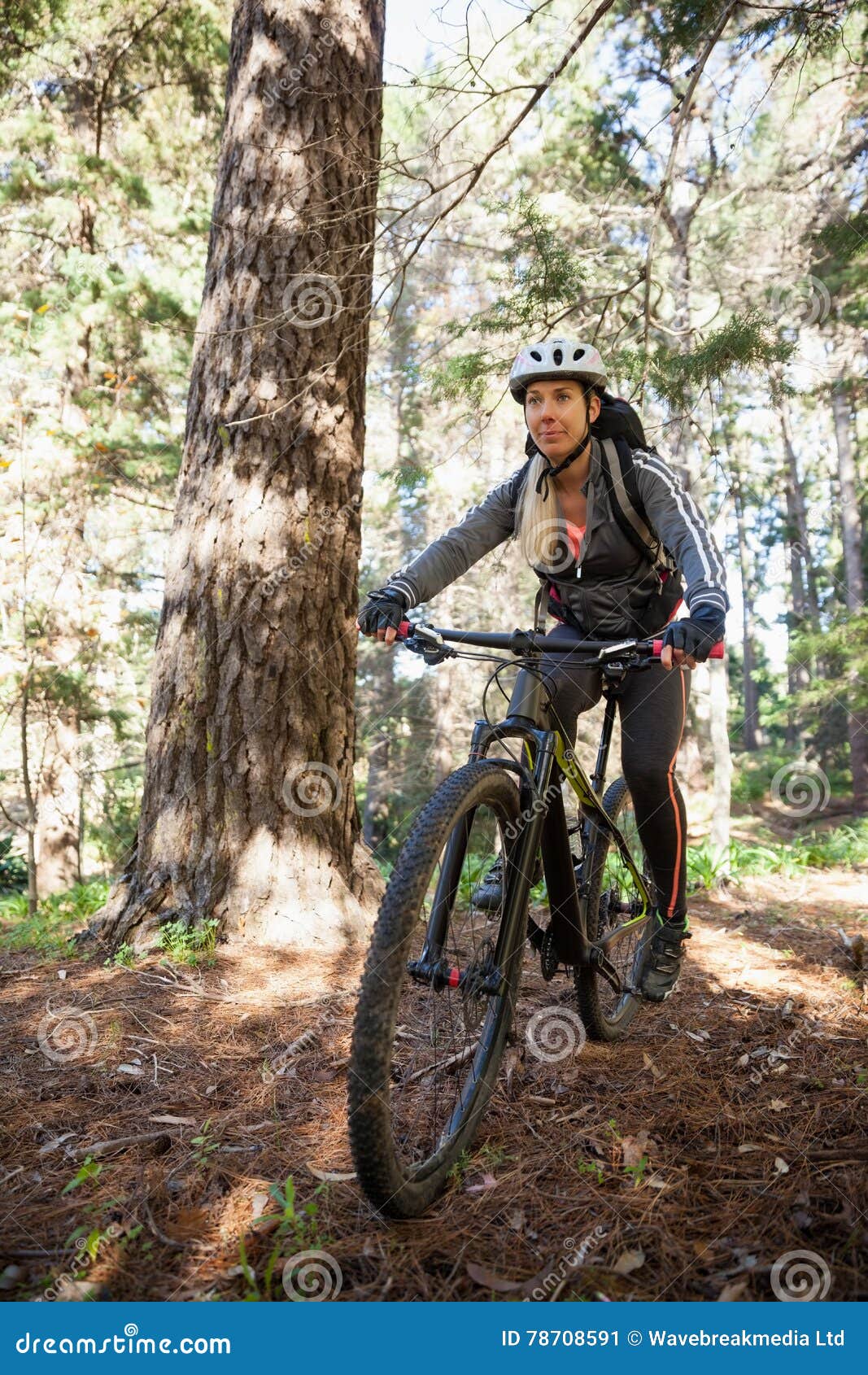 Biker Riding Honda Goldwing Editorial Photo | CartoonDealer.com #55061159