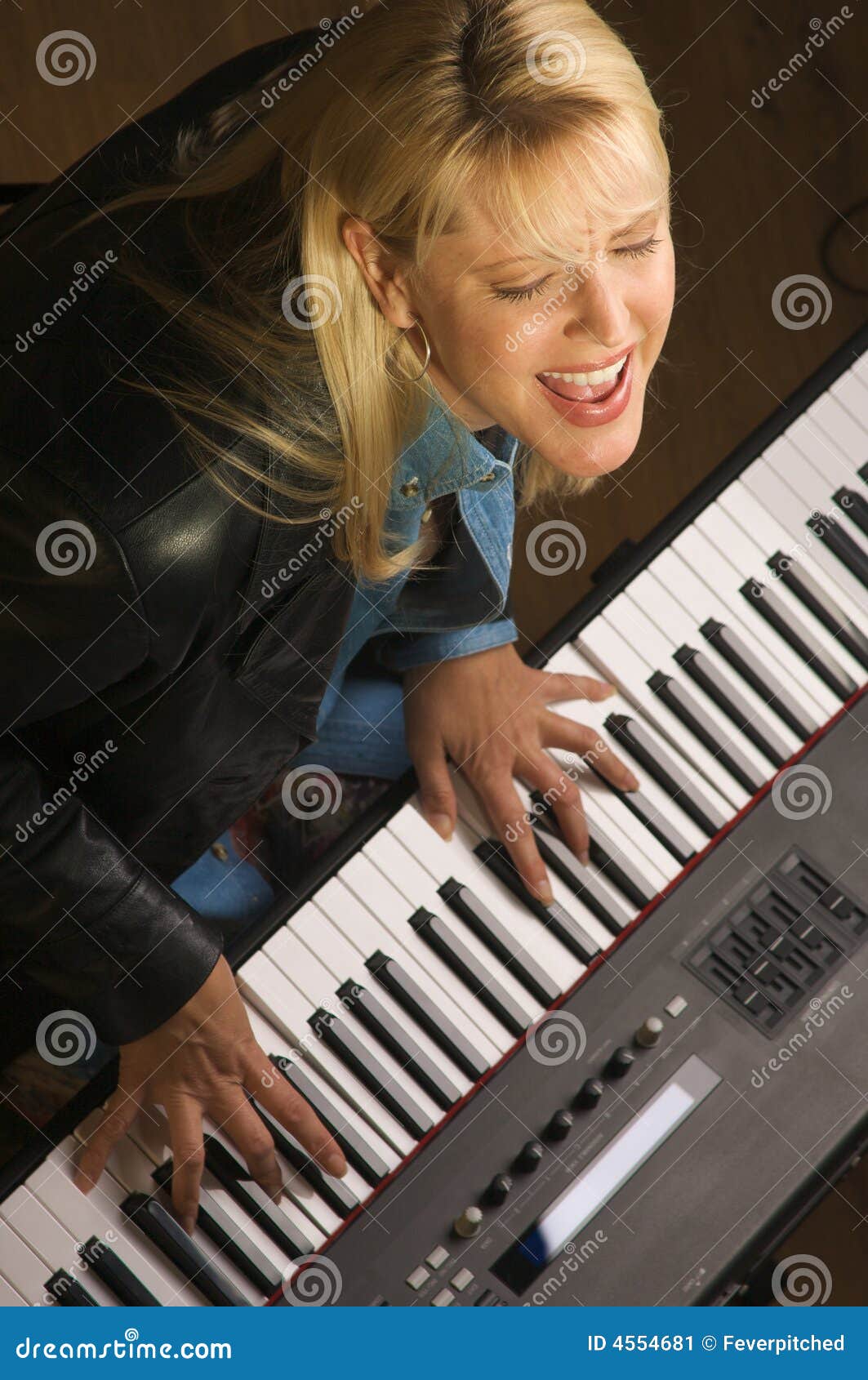 Female Musician Performs stock image. Image of instrument - 4554681