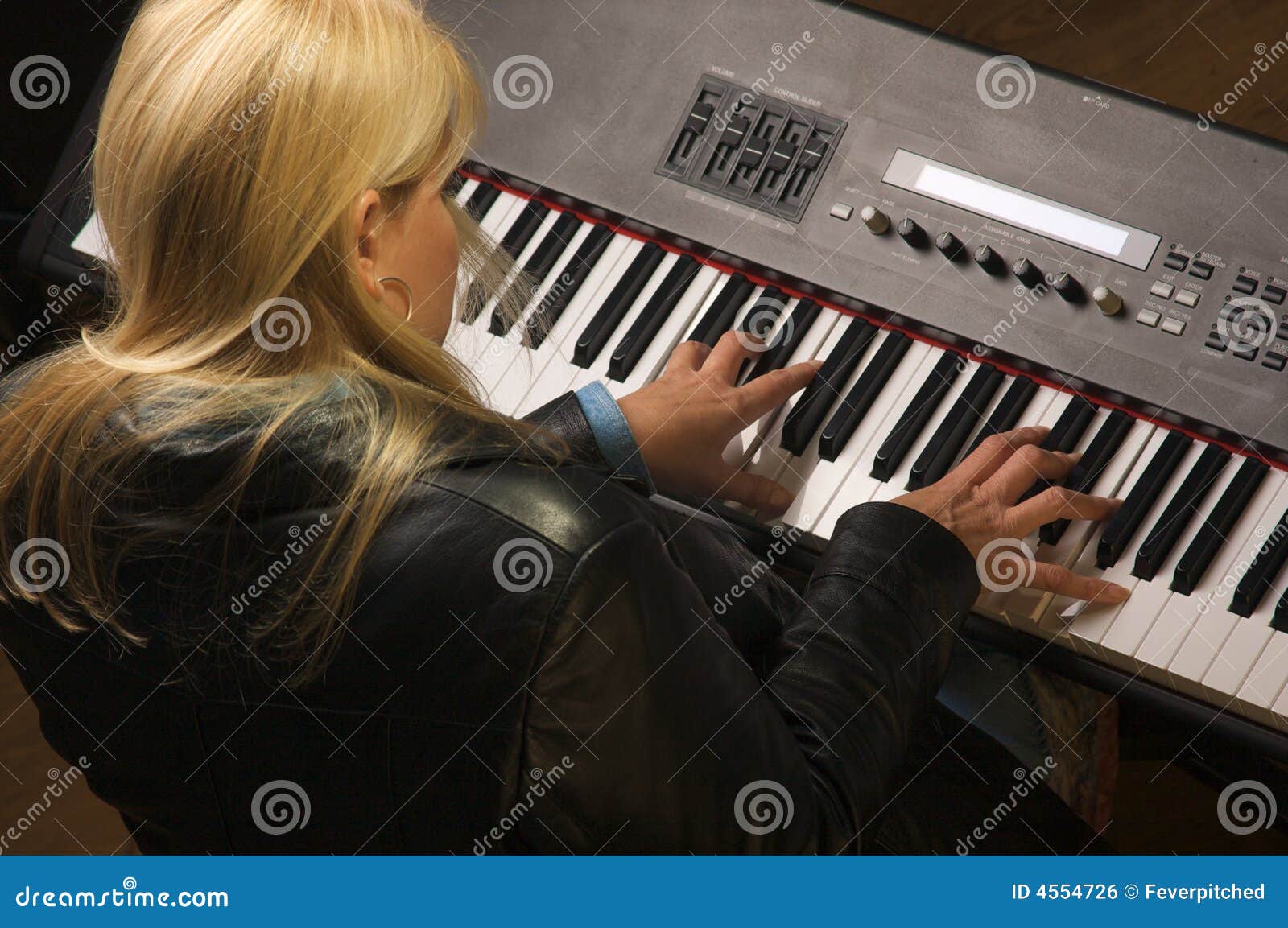 Female Musician Performs stock photo. Image of compose - 4554726