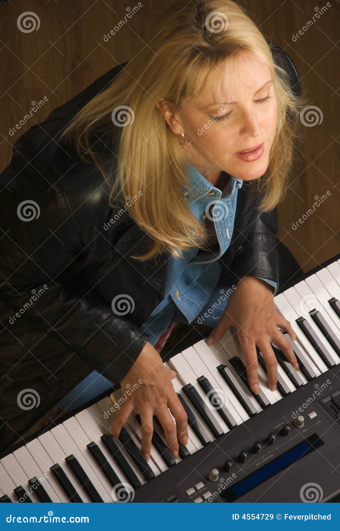 Female Musician Performs stock image. Image of artist - 4554729