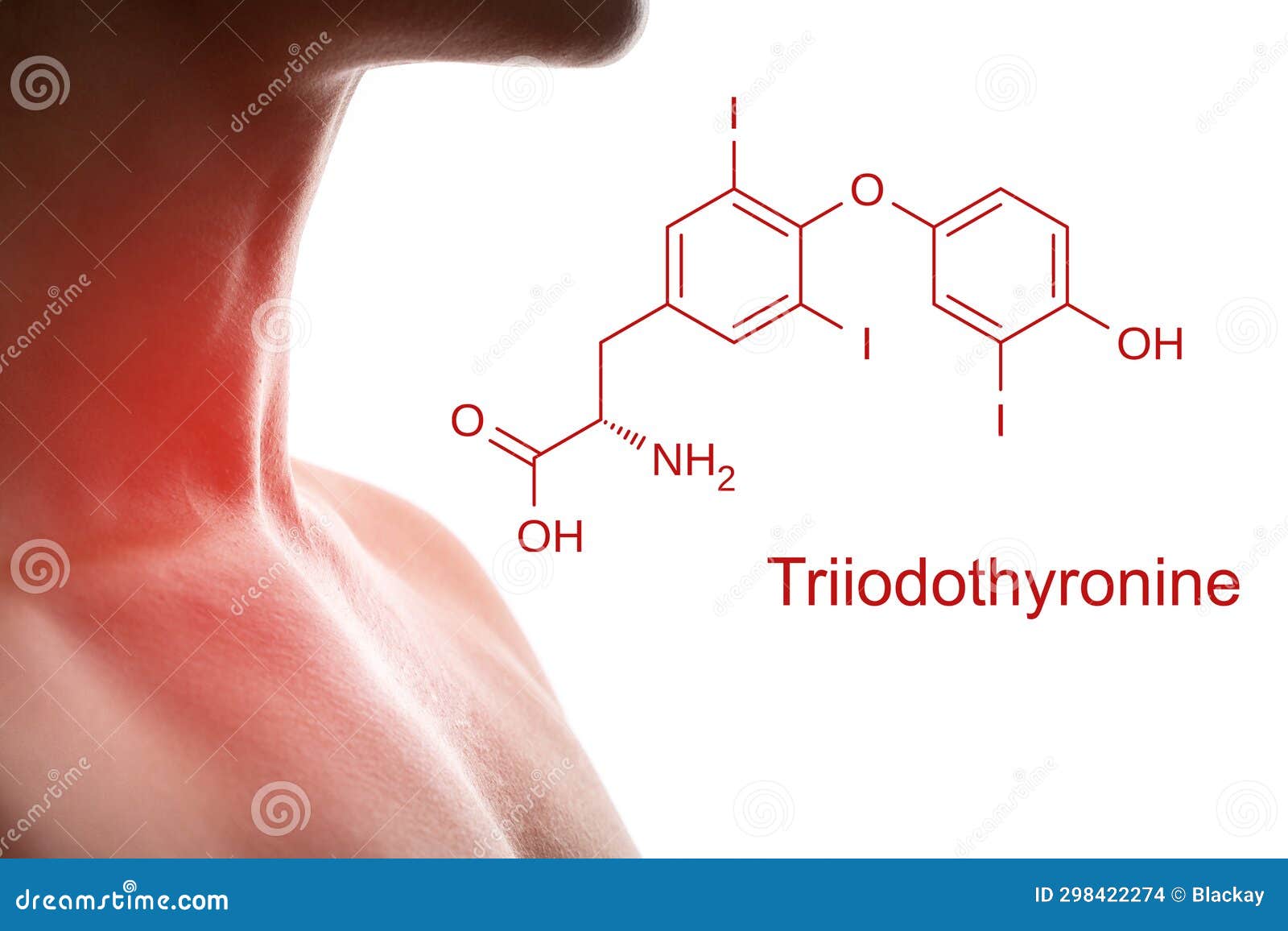 Female Neck and Triiodothyronine Hormone Formula Stock Illustration ...