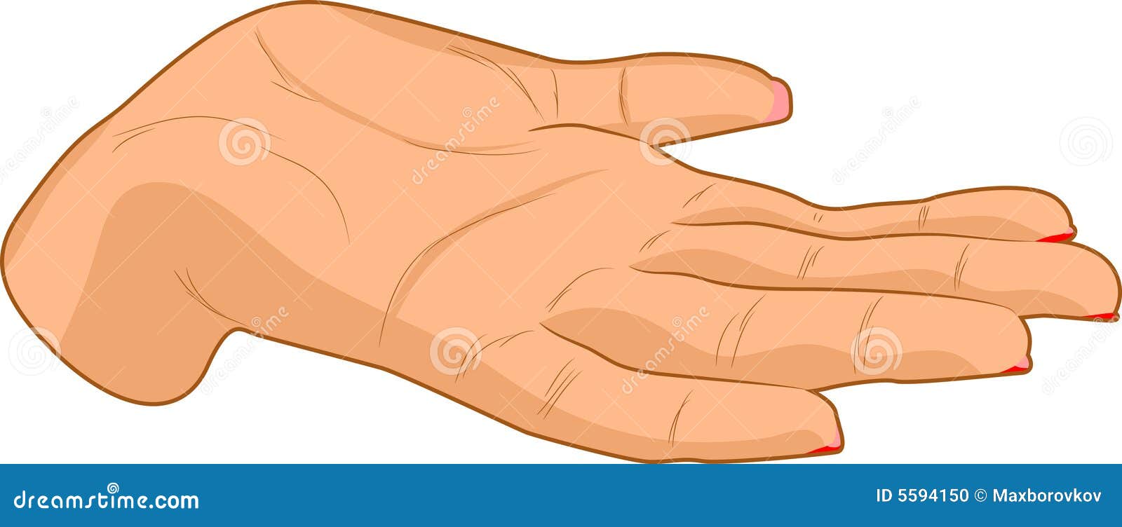 Female palm. stock vector. Illustration of cartoon, sign - 5594150