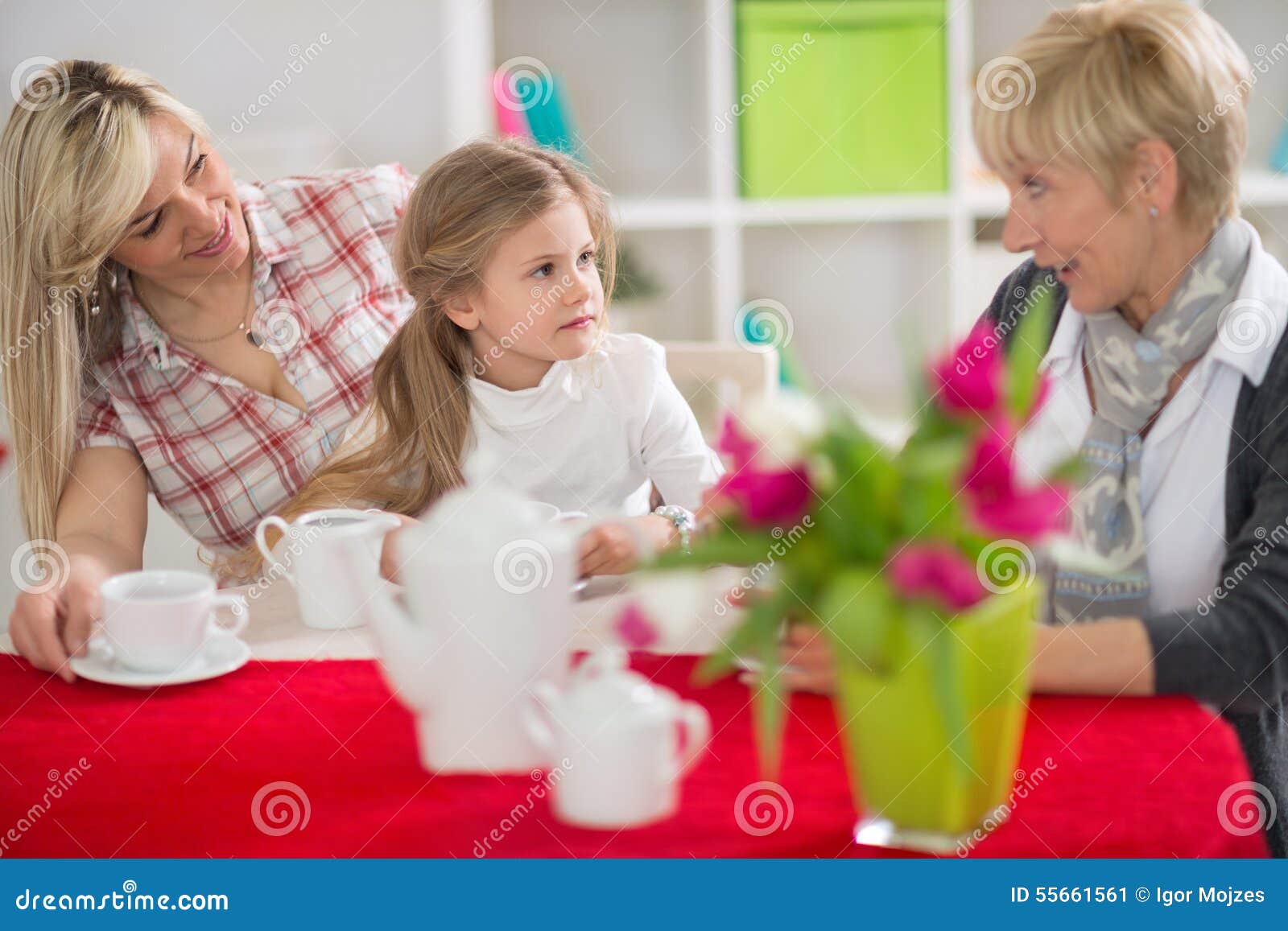 Female Part of the Family Chatting with Cup of Tea Stock Image - Image ...