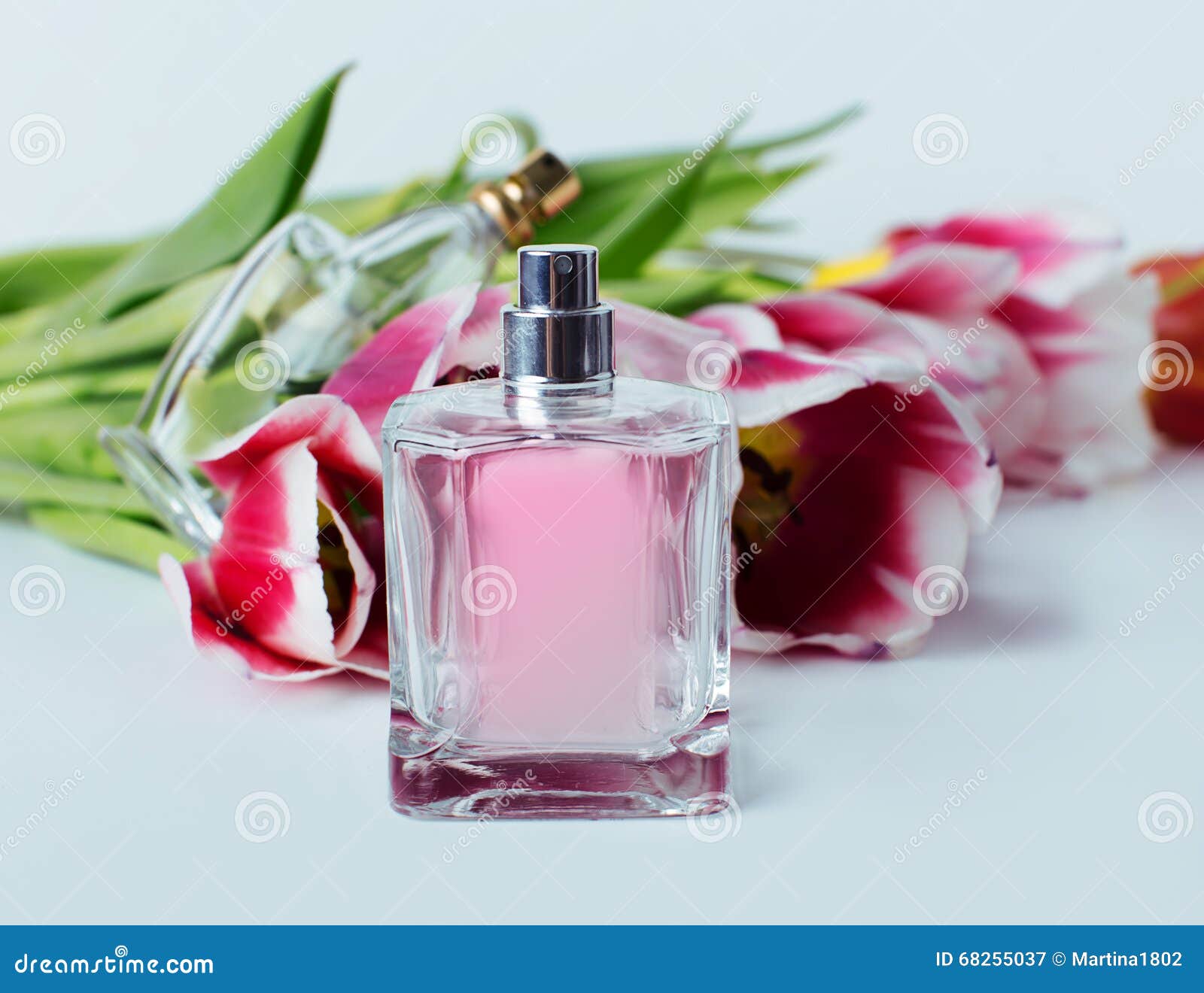 Female perfume stock image. Image of spring, copy, fashion - 68255037