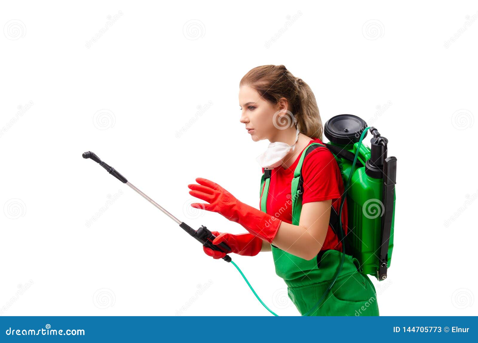 The Female Pest Control Contractor Isolated on White Stock Image ...