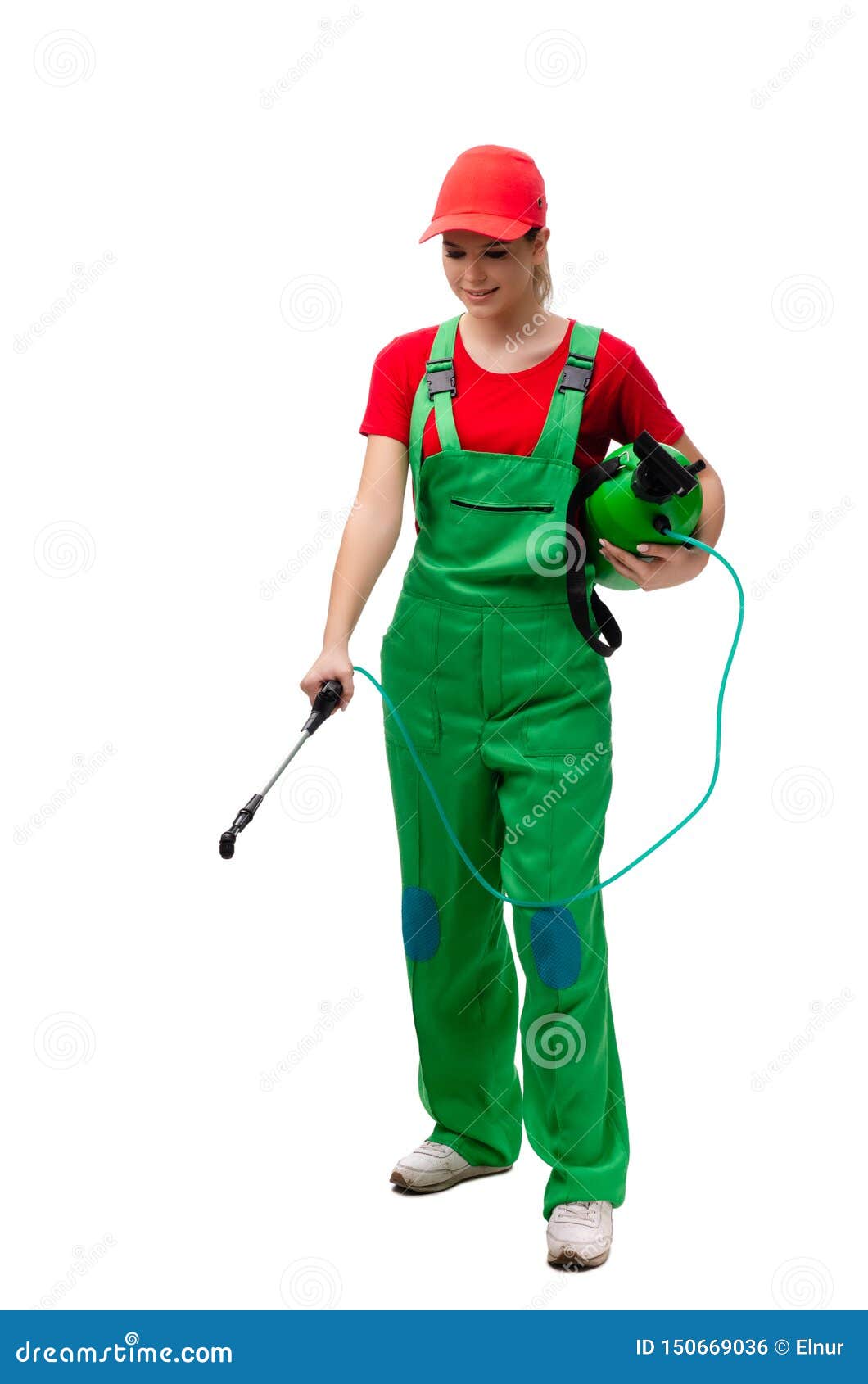 The Female Pest Control Contractor Isolated on White Stock Photo ...
