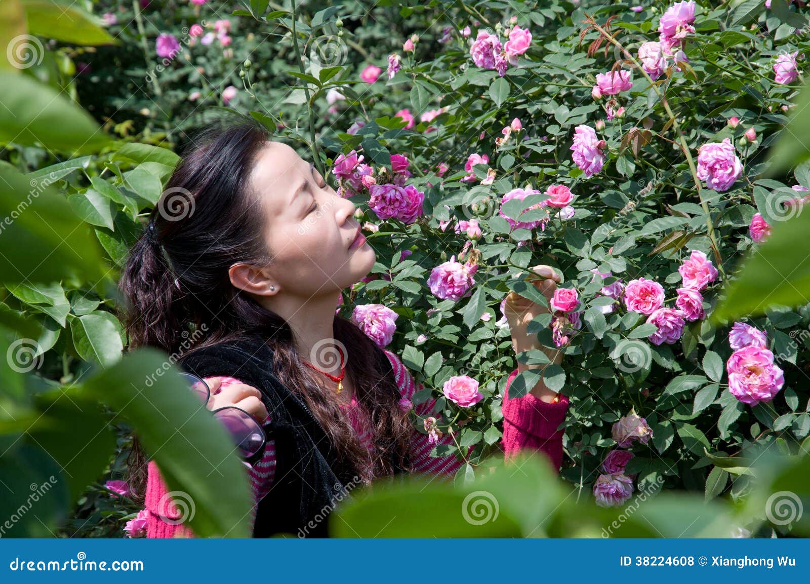 Woman and rose stock photo. Image of park, romance, blooming - 38224608