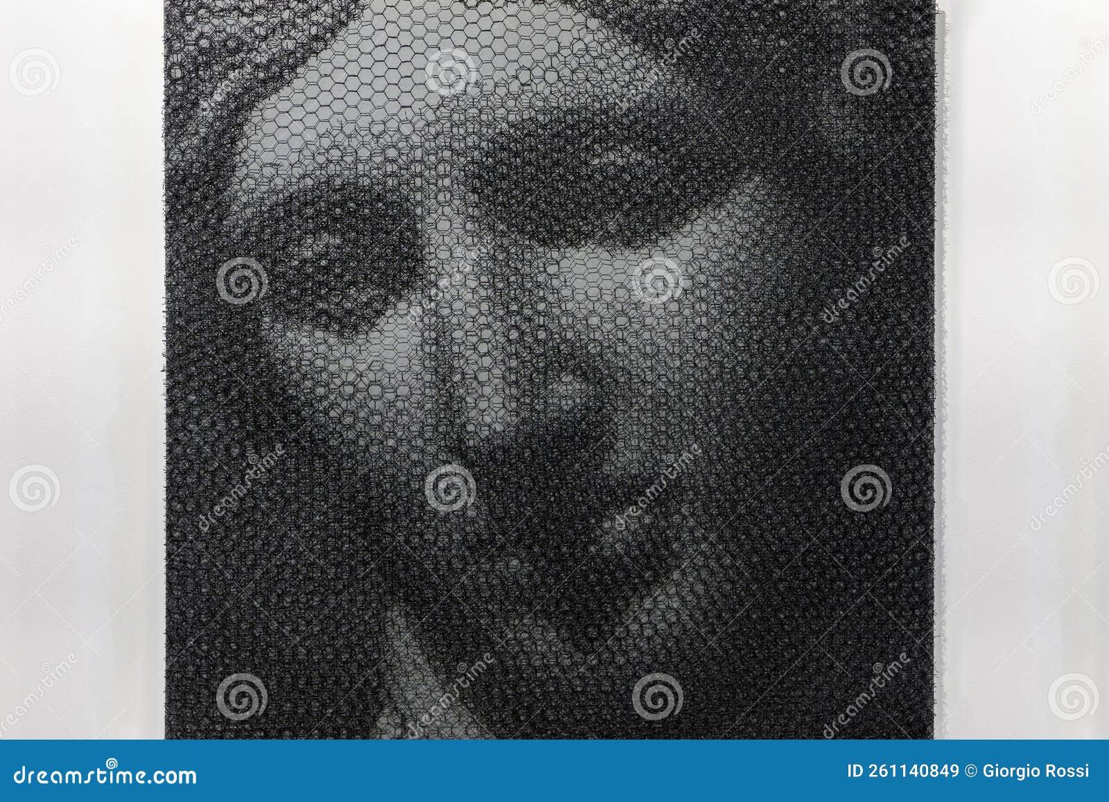 Female Portrait Made With Overlapping Twisted Wire Mesh Editorial Image ...