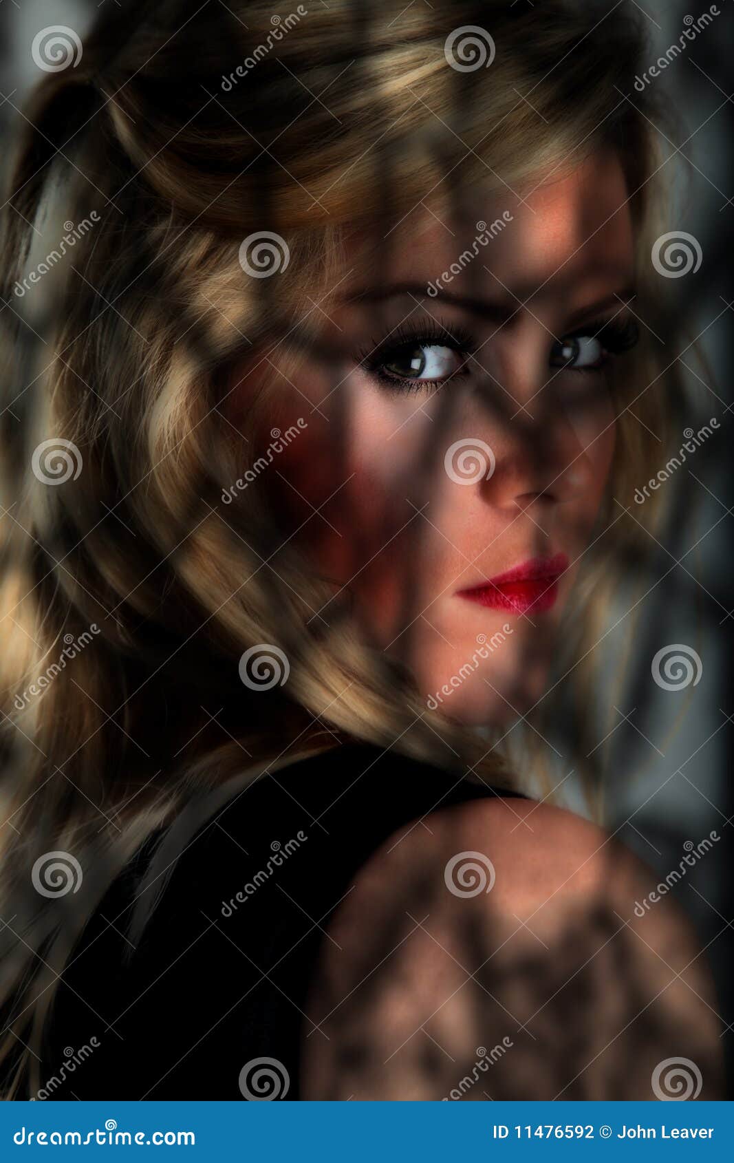 Female portrait in shadows stock photo. Image of makeup - 11476592