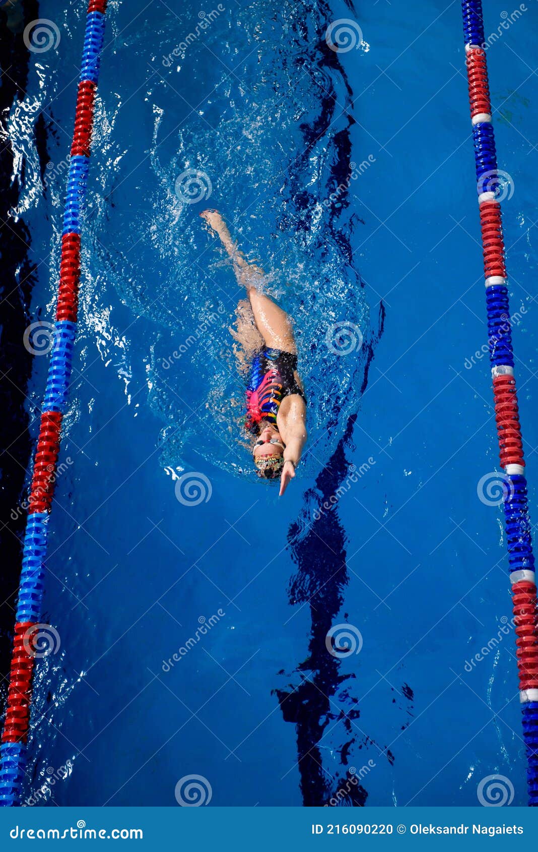 Female Professional Competitive Swimmer in Swimming Pool Stock Photo ...