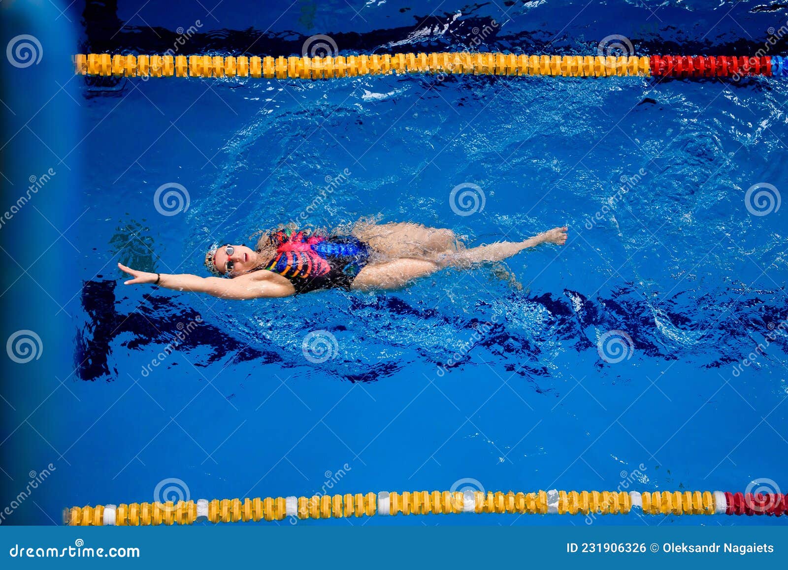 Female Professional Competitive Swimmer in Swimming Pool Stock Photo ...