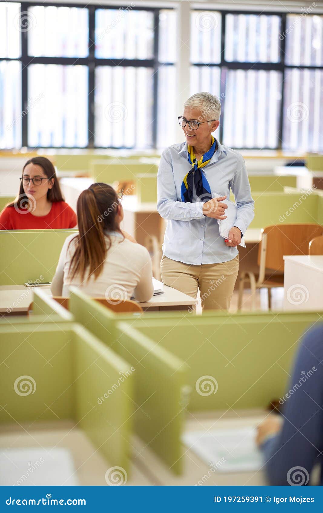 Female Professor in a Conversation with a Student at a Lecture Stock ...