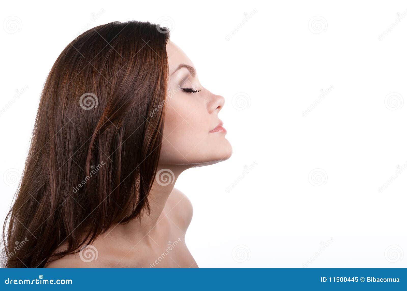 Female profile stock image. Image of female, front, face - 11500445