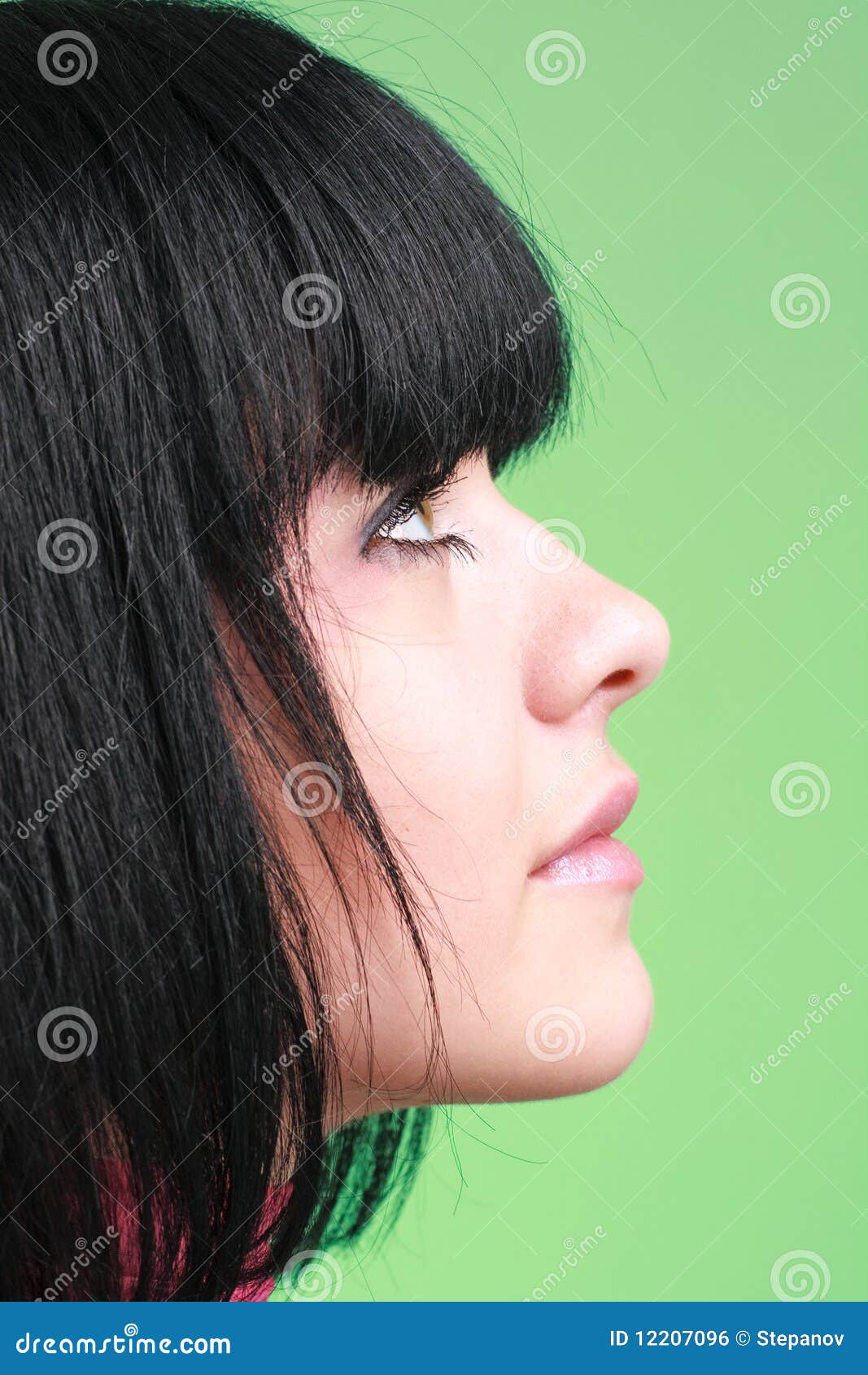 Female profile stock photo. Image of pretty, face, lady - 12207096