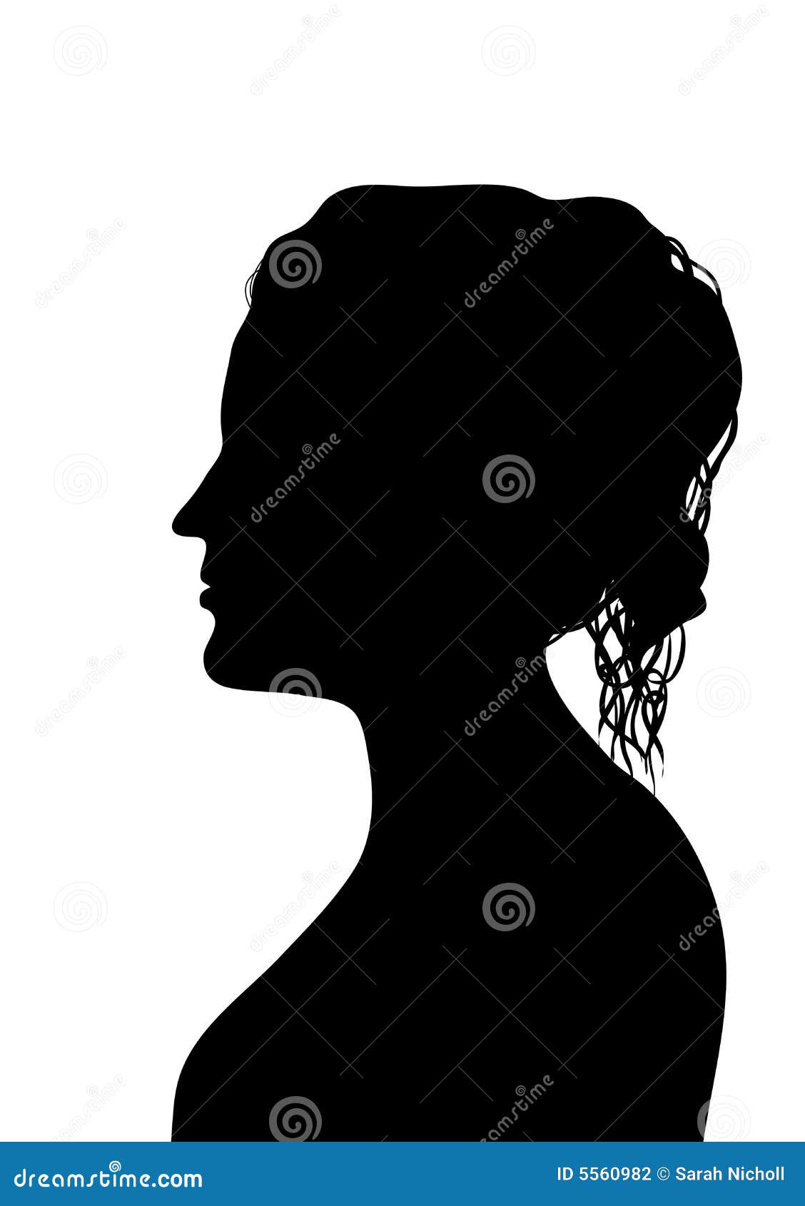 Female Profile 2 stock illustration. Illustration of people - 5560982