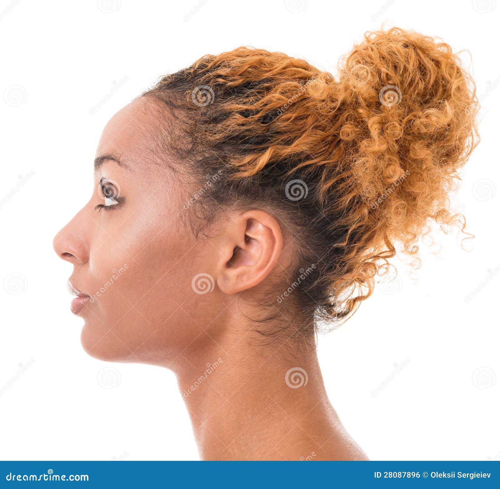 Female profile stock photo. Image of cheek, contemplation - 28087896